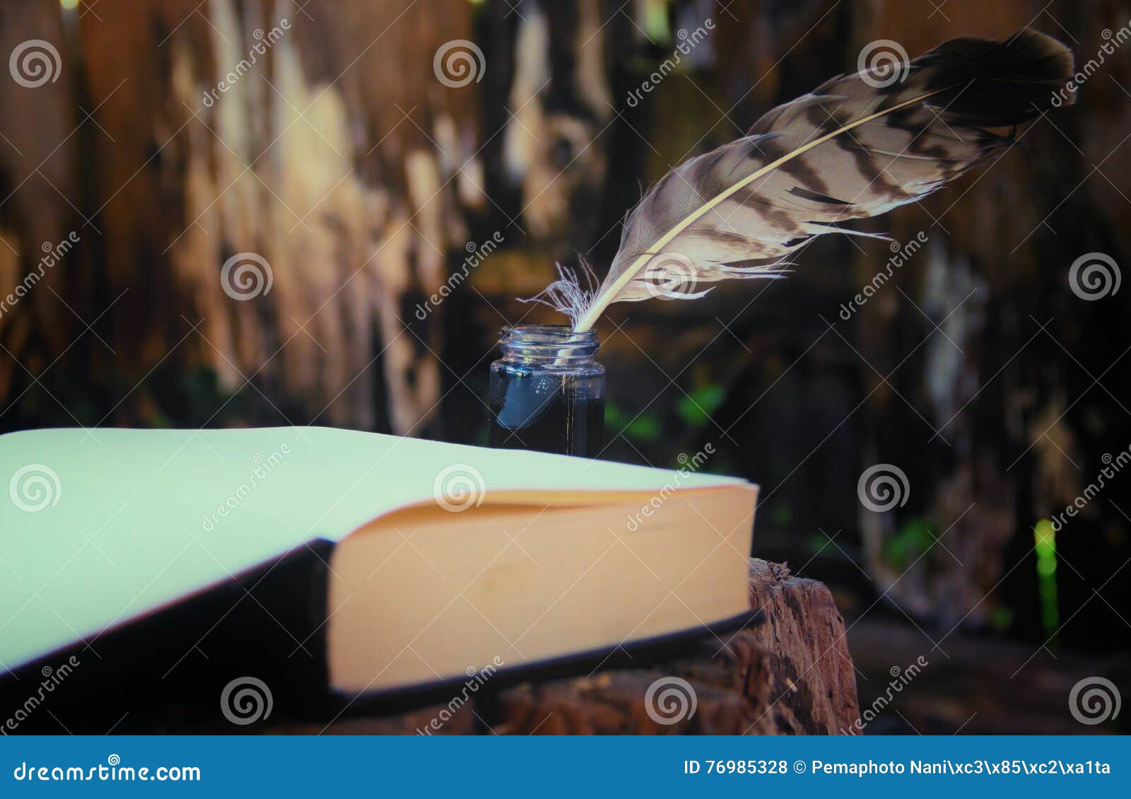 Traditional Ink Writing stock photo. Image of feather - 76985328