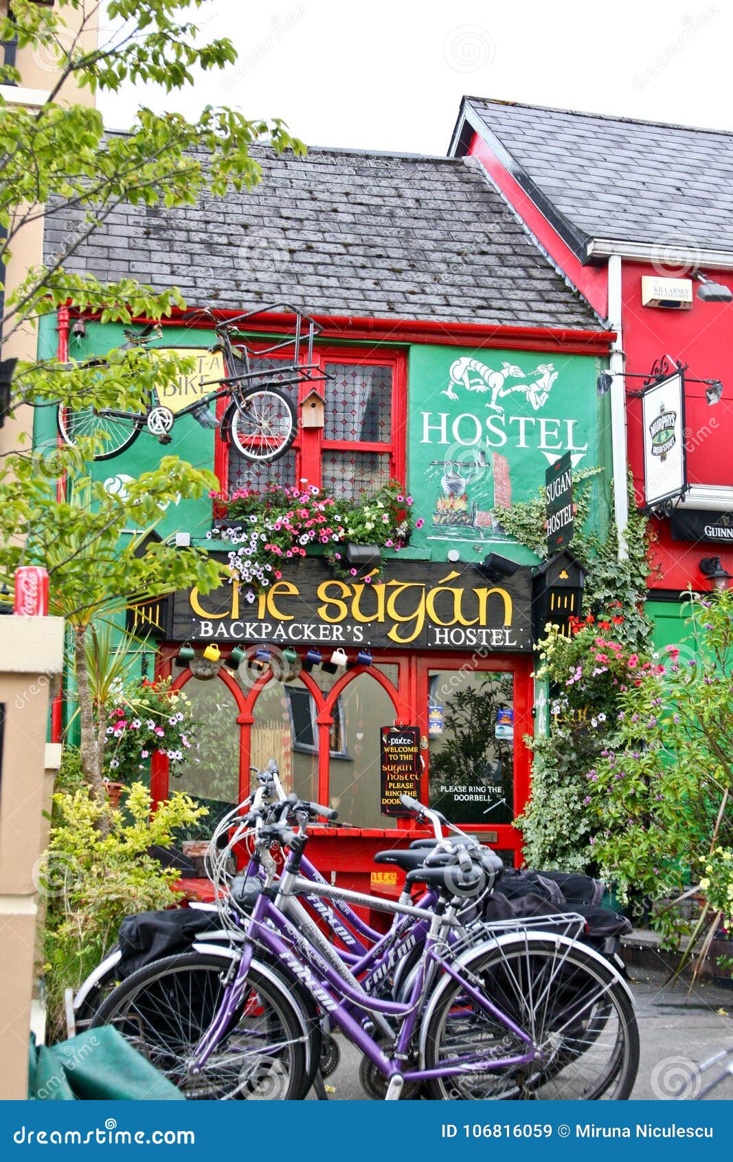 Traditional Irish Hostel, Killarney, Ireland Editorial Stock Image ...