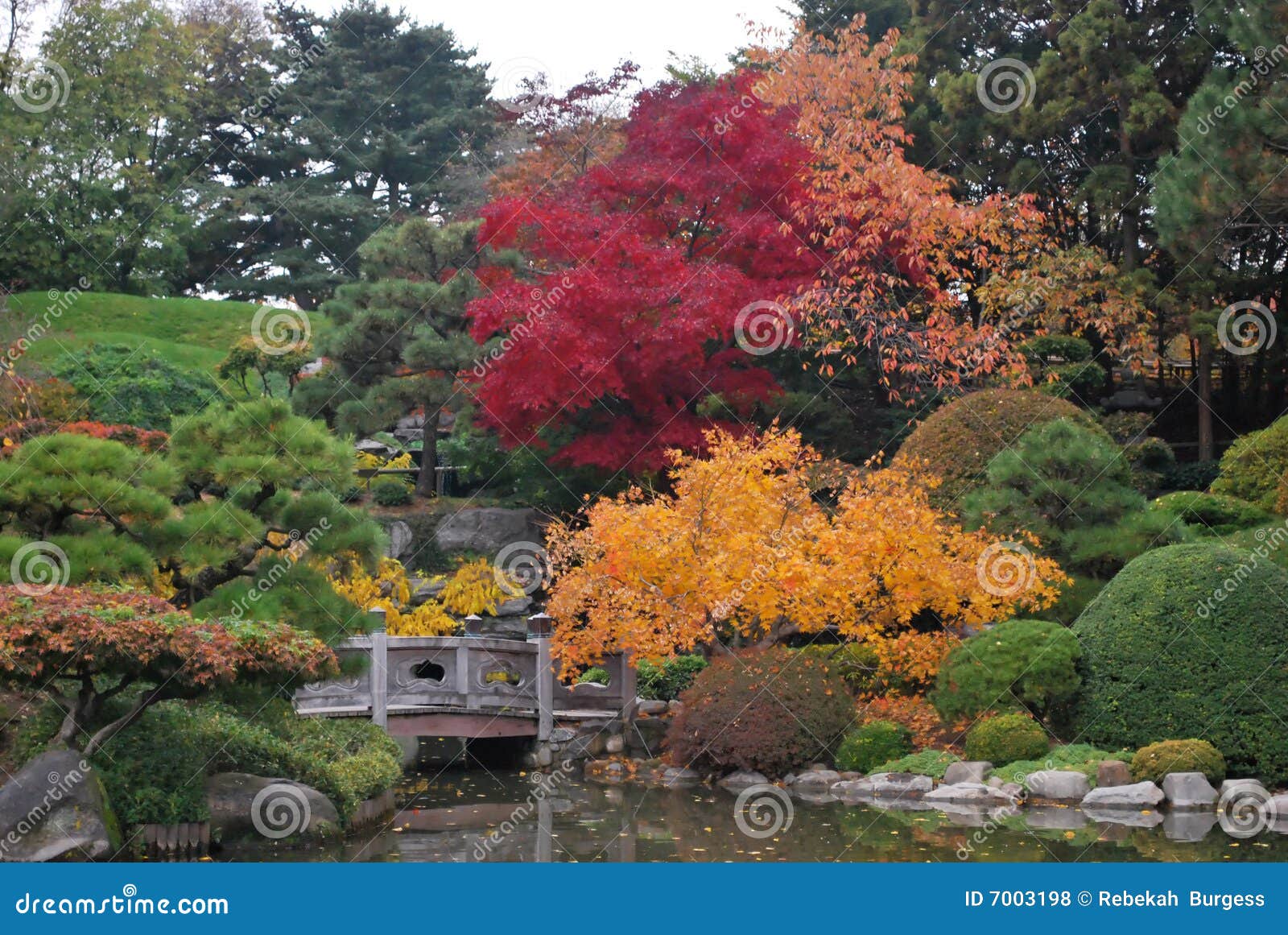 Traditional Japanese Garden Landscape Stock Photo - Image of landscape ...