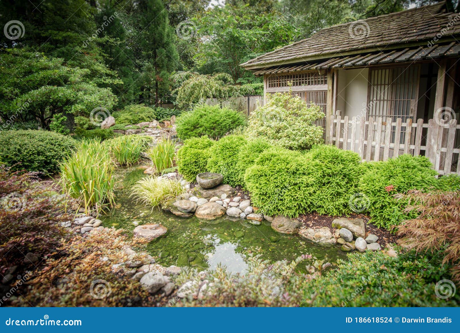 Traditional Japanese Garden Stock Photo - Image of culture, japan ...