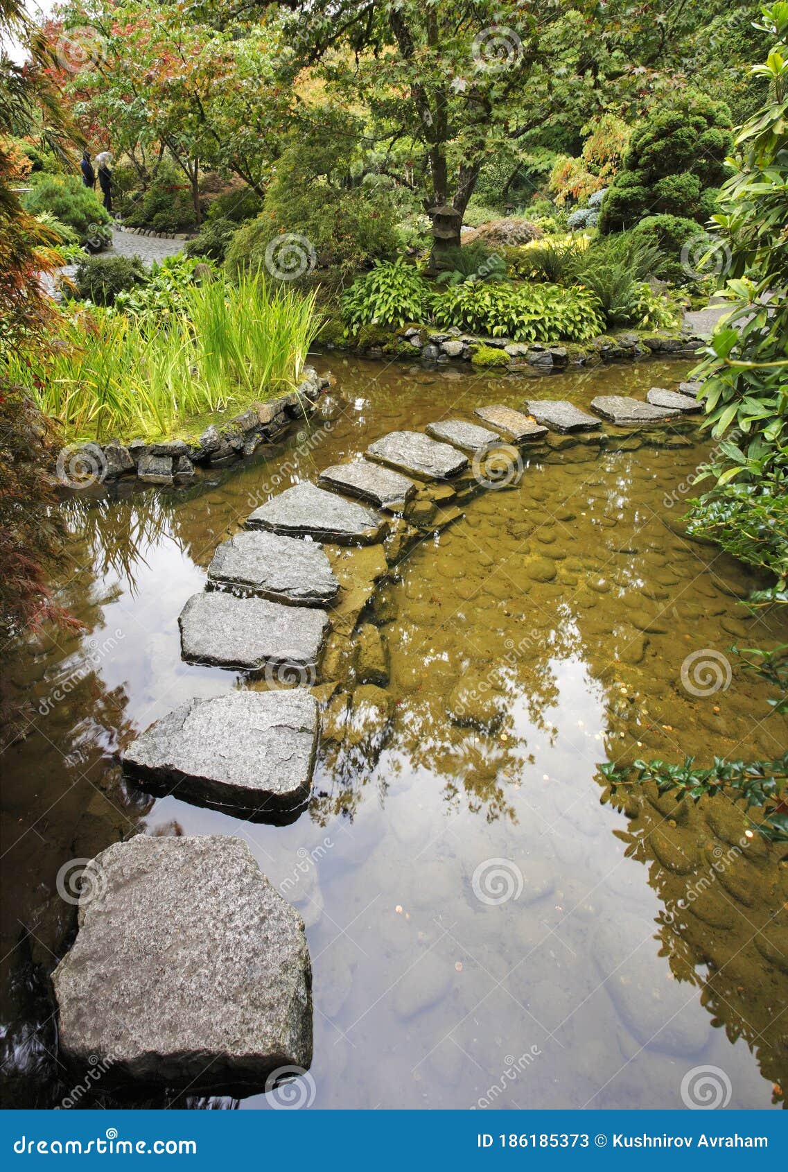 Traditional Japanese Garden. a Stream Stock Image - Image of stream ...
