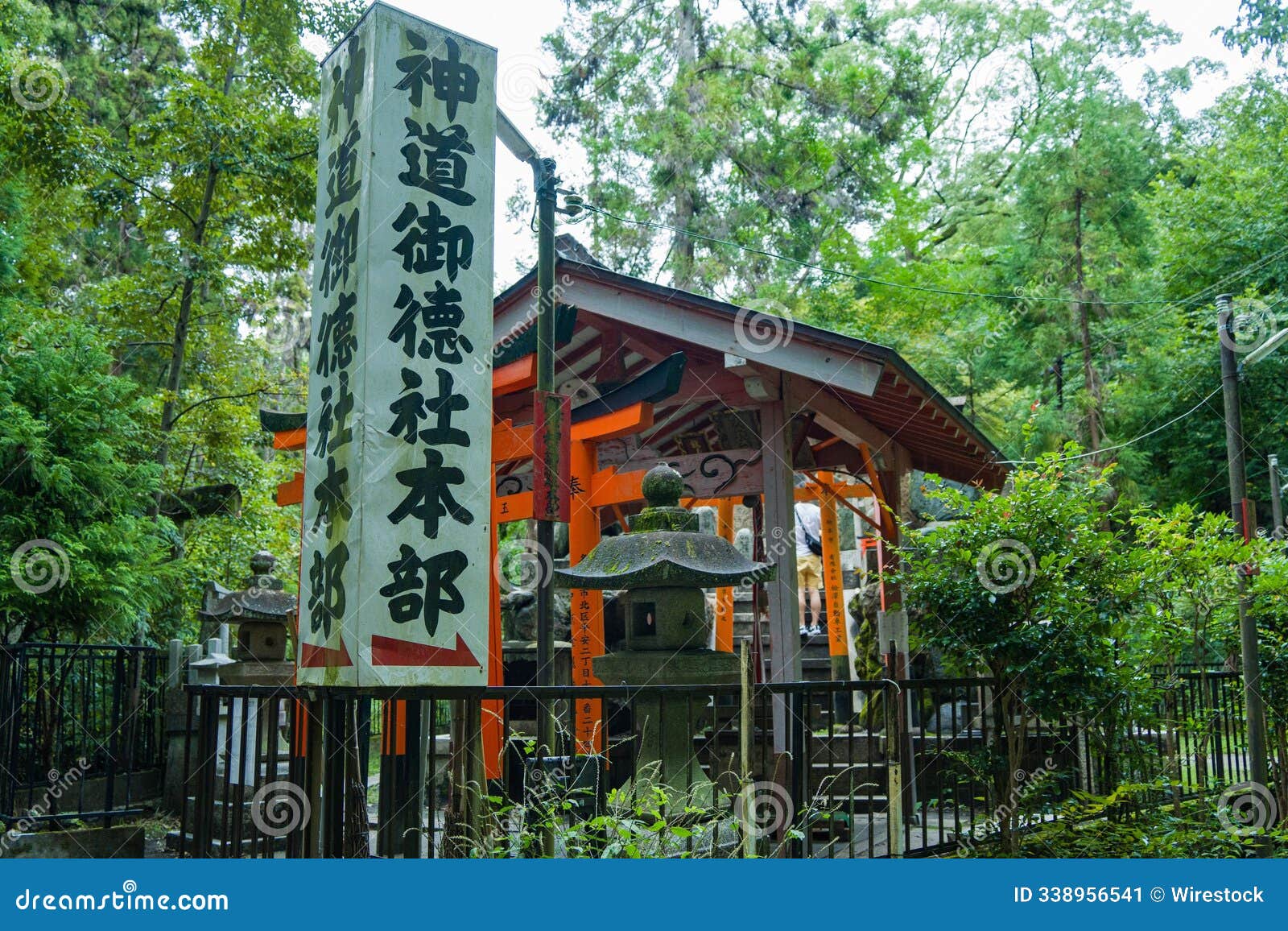 Traditional Japanese Shrine Surrounded by Lush Greenery and Trees Stock ...