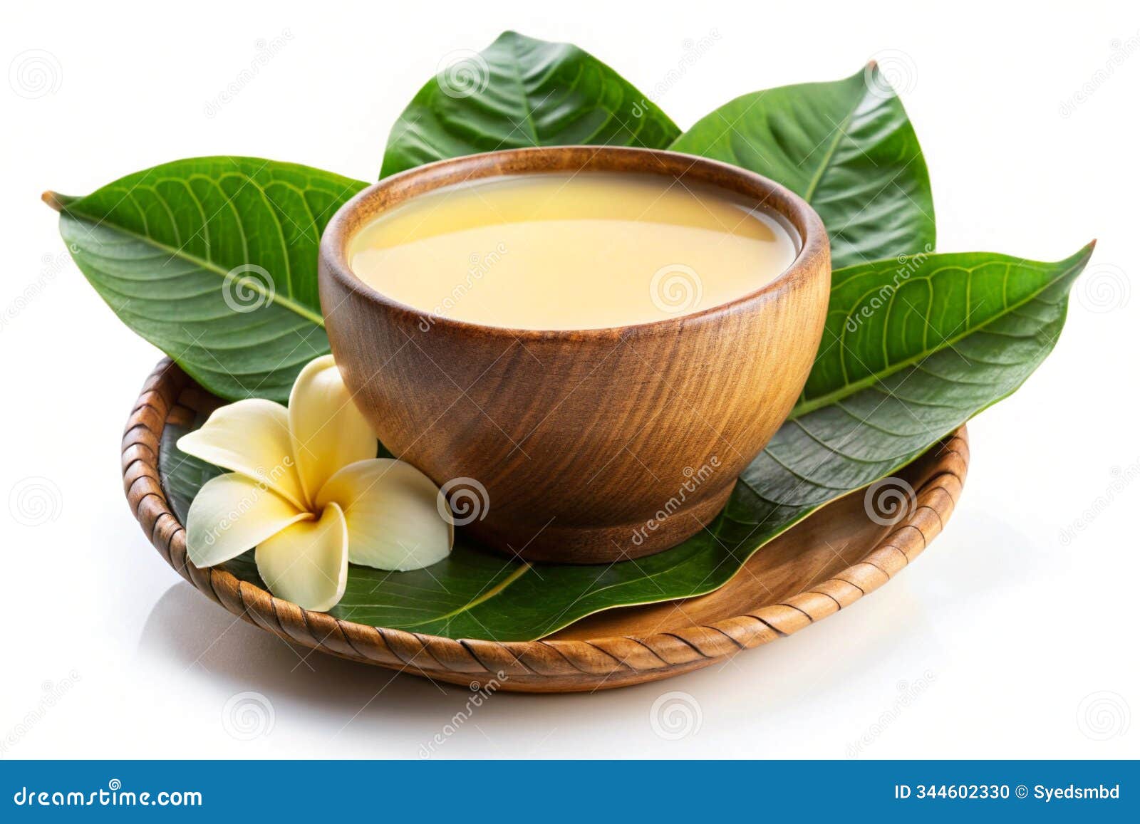 Kava Drink Or Traditional Samoan Herbal Beverage Vector Illustration ...