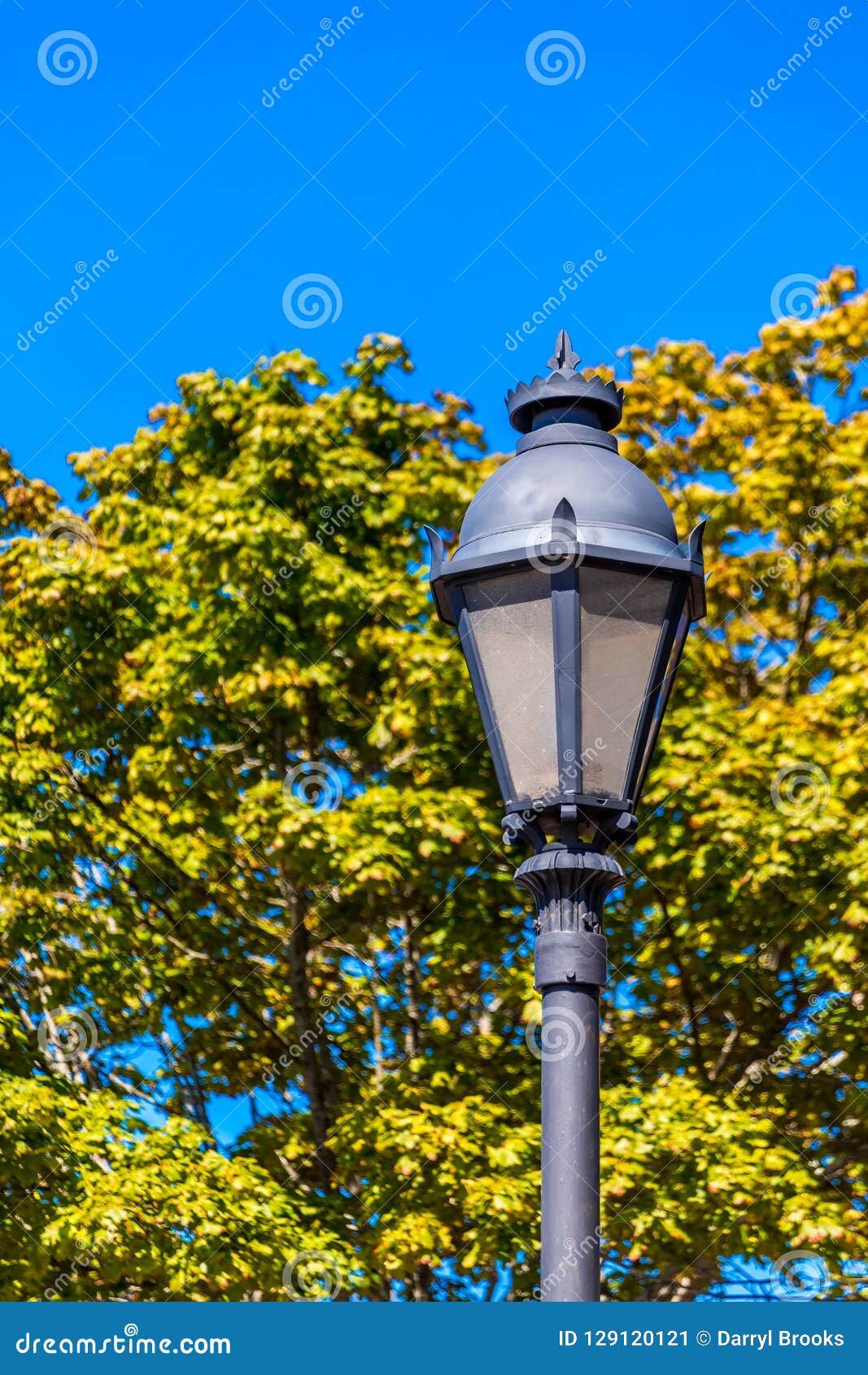 Traditional Lamp Post by Tree Stock Image - Image of urban, ornate ...