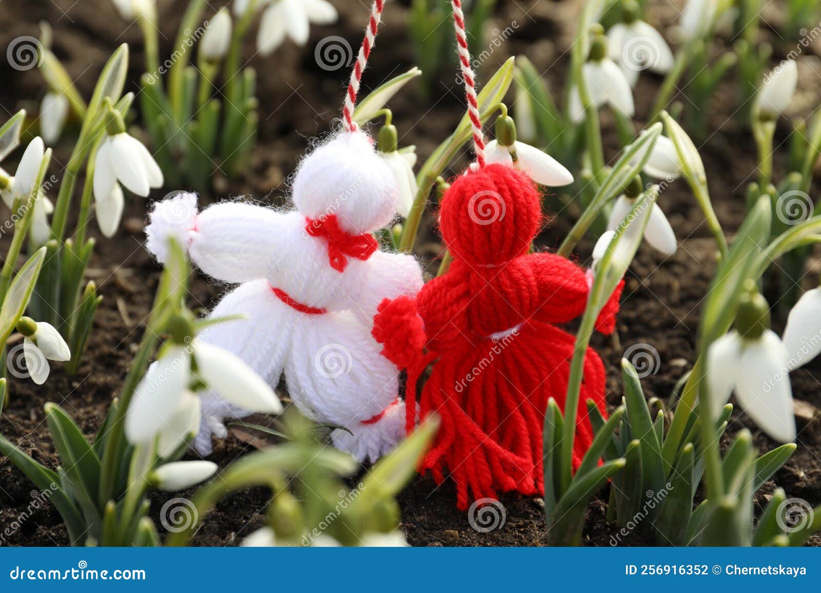 Traditional Martisor among Beautiful Snowdrops Outdoors. Beginning of ...