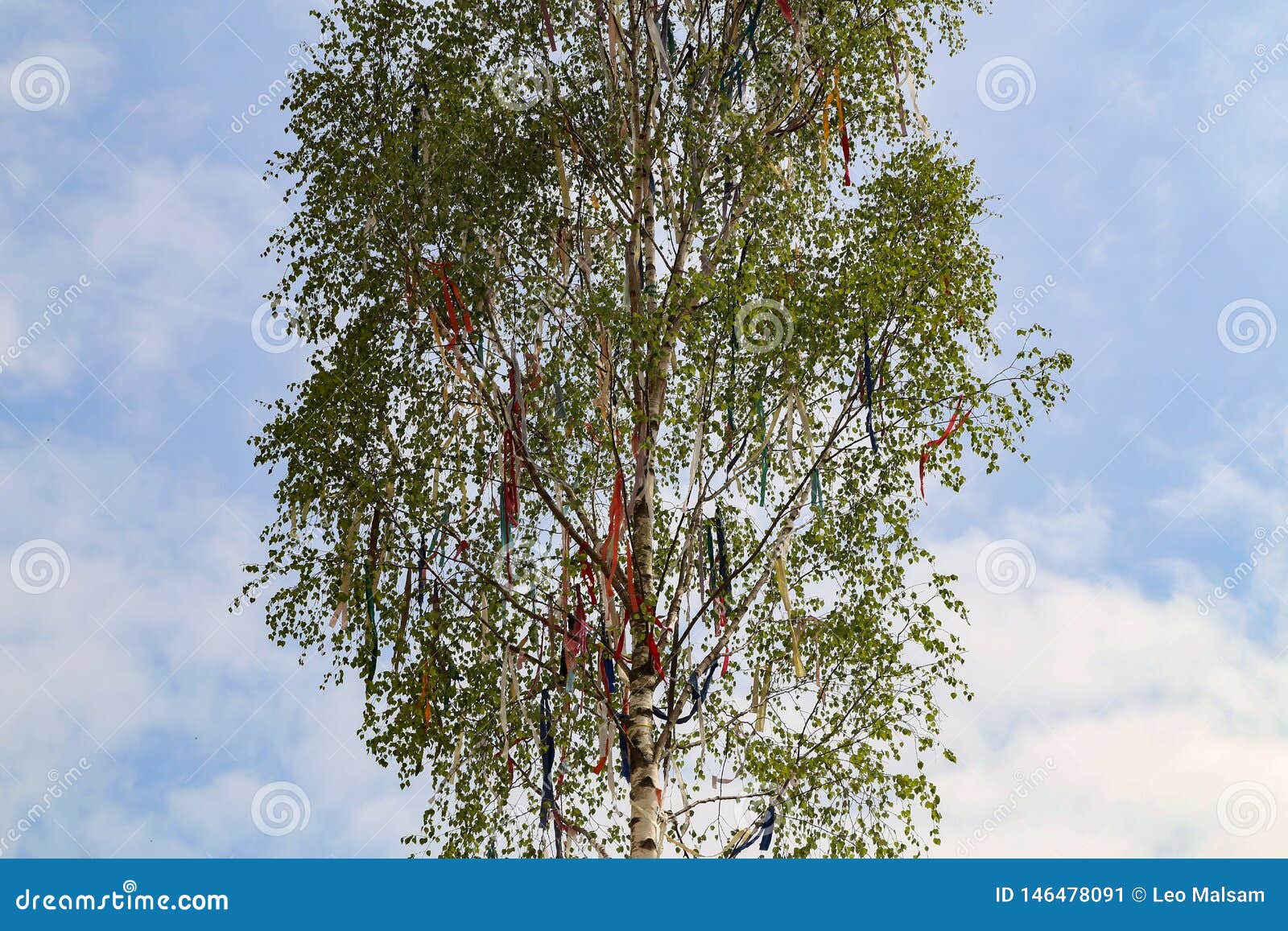 A Traditional Maypole with Colored Ribbons Stock Image - Image of ...