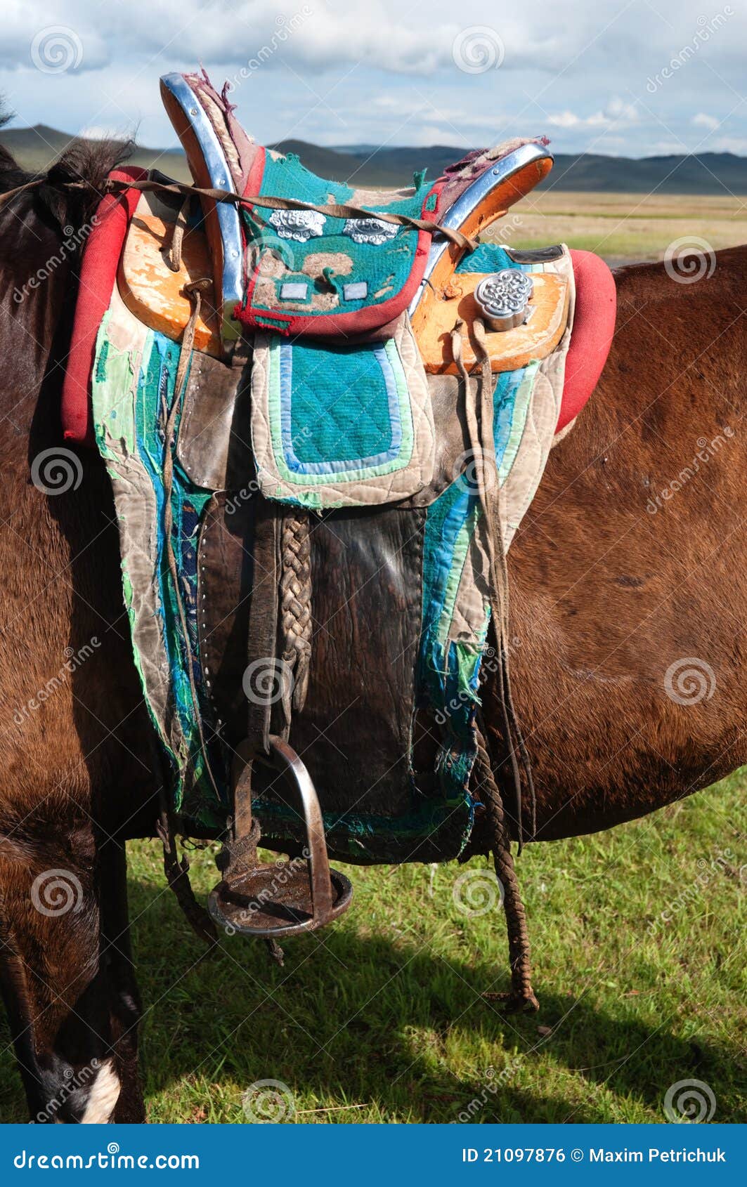 Traditional Mongolian Horse Harness Close-up On A Horse. Stock ...