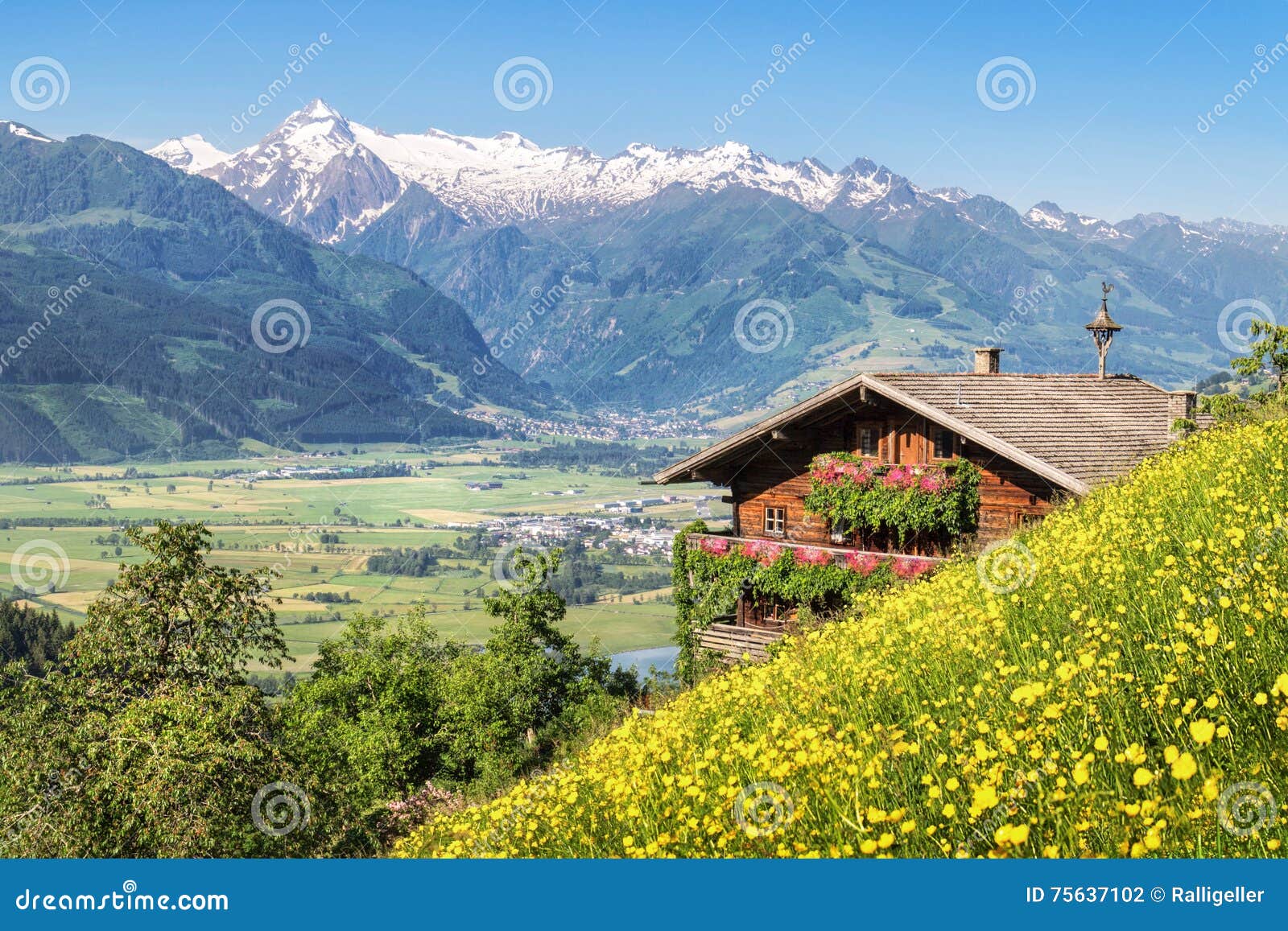 Traditional Mountain Farm in the Alps Stock Photo - Image of tourism ...