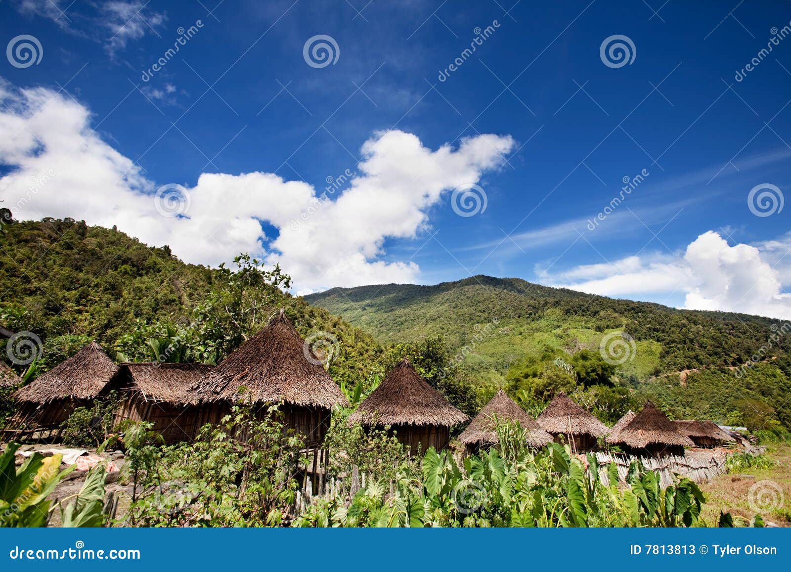 Traditional Mountain Village Stock Image - Image of forest, rain: 7813813