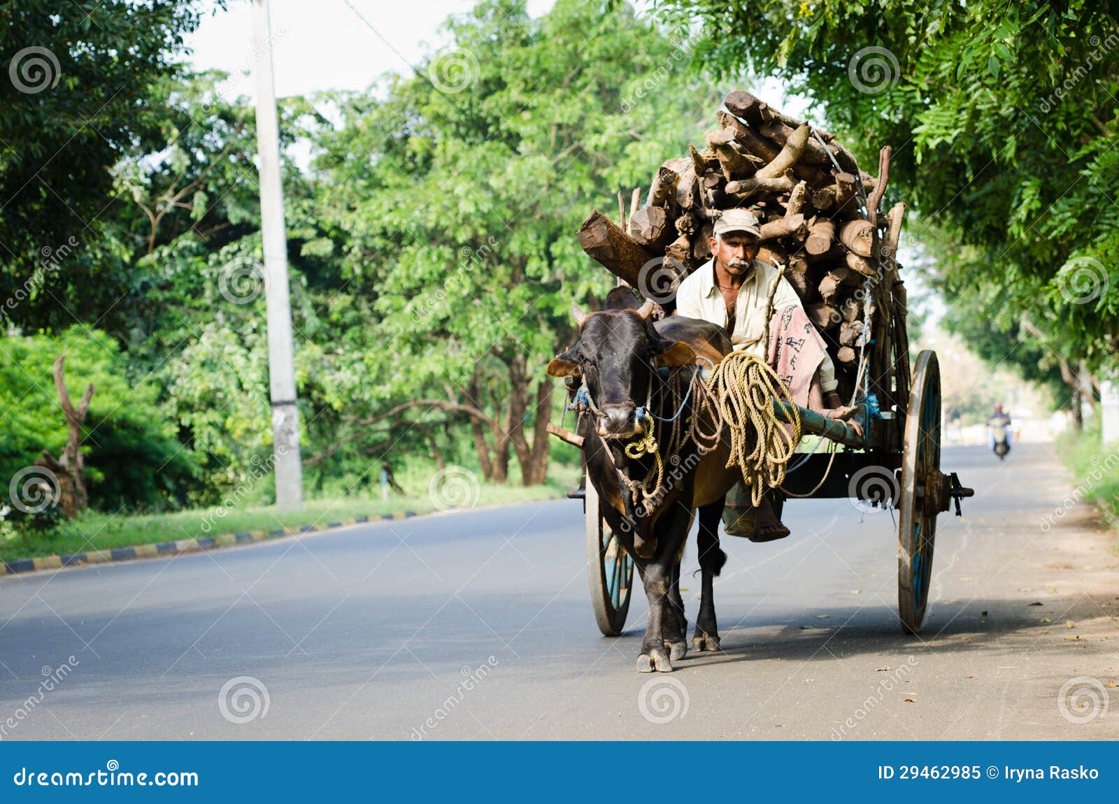 Examples Of Traditional Transportation at Anglea Ramos blog