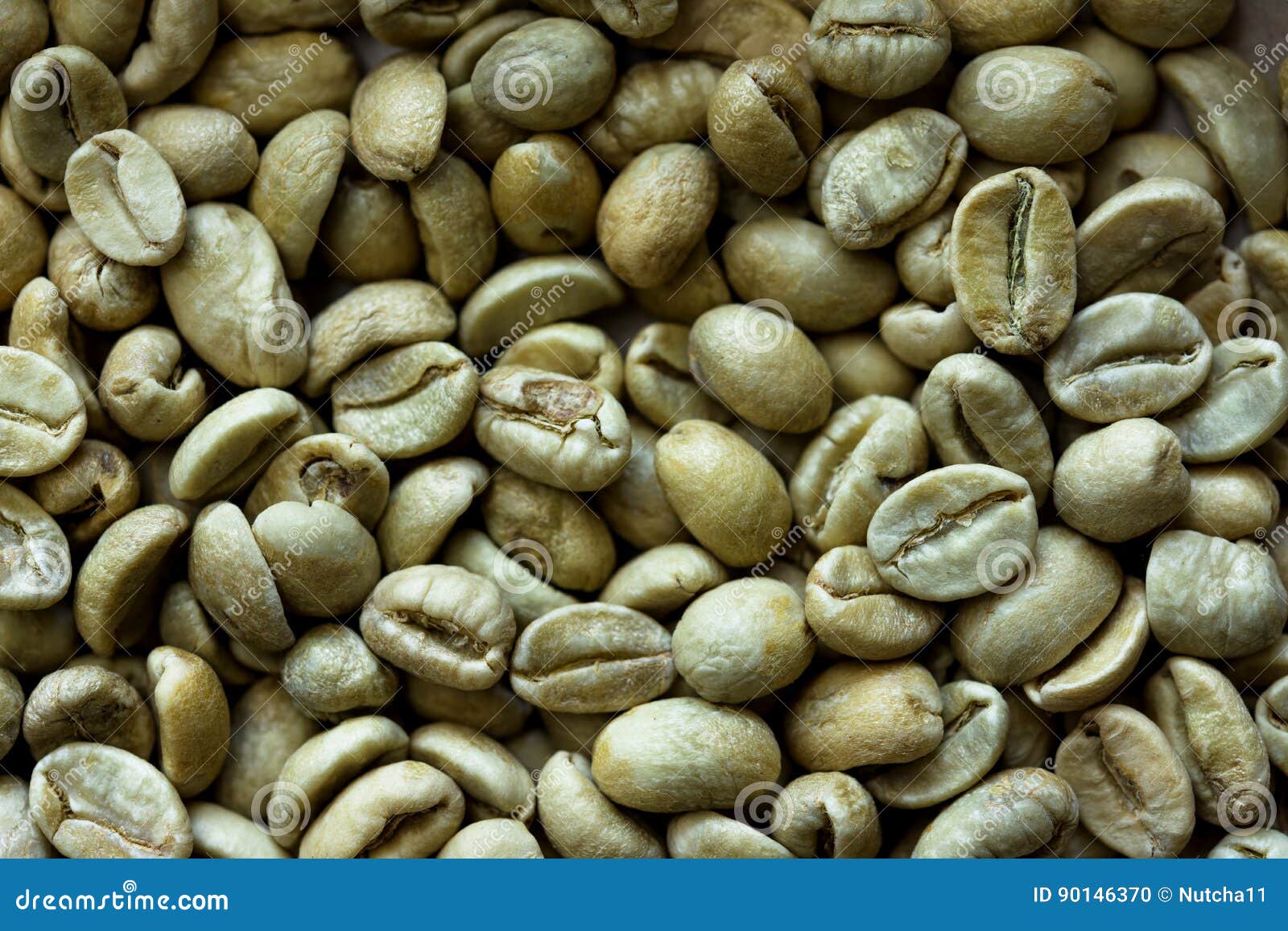 Traditional Not Roasted Coffee Beans. Stock Photo - Image of aroma ...