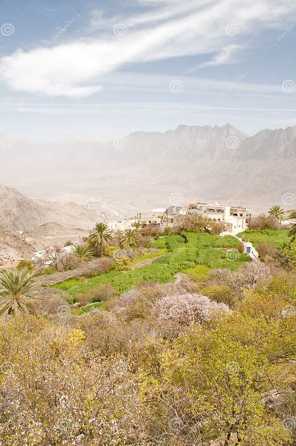 Traditional Omani Farm stock image. Image of landscape - 20010411