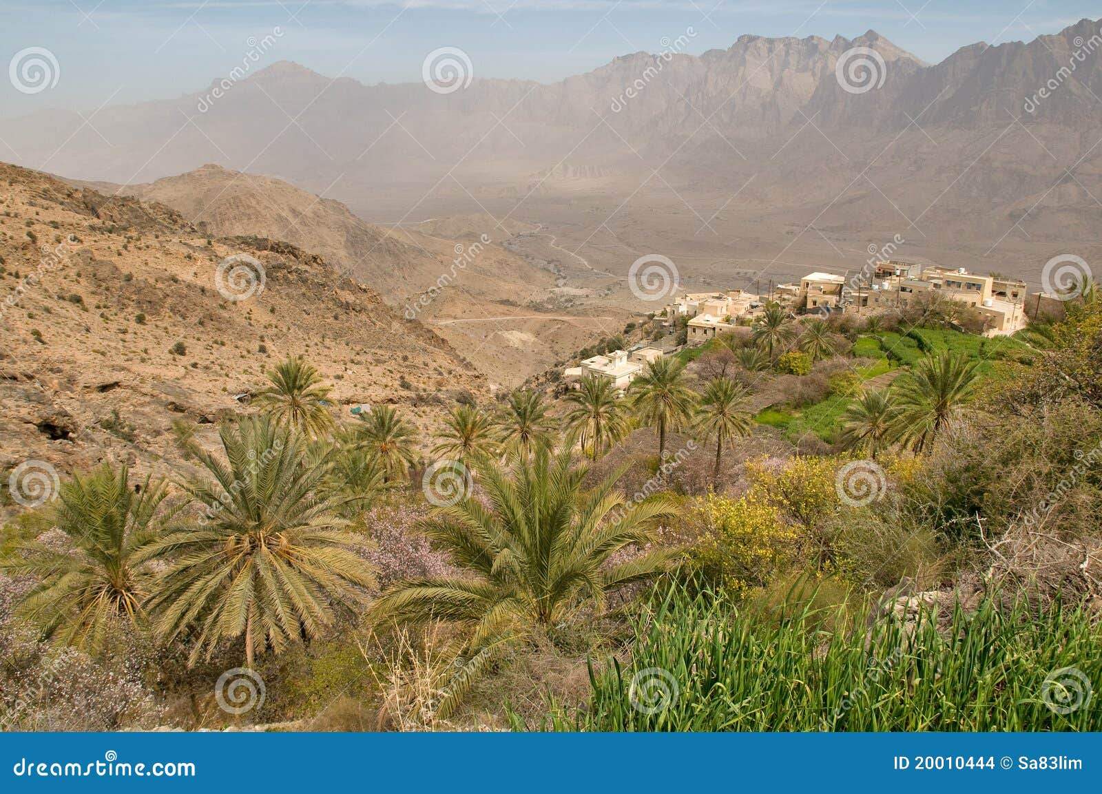 Traditional Omani Farm stock photo. Image of arabic, traditional - 20010444
