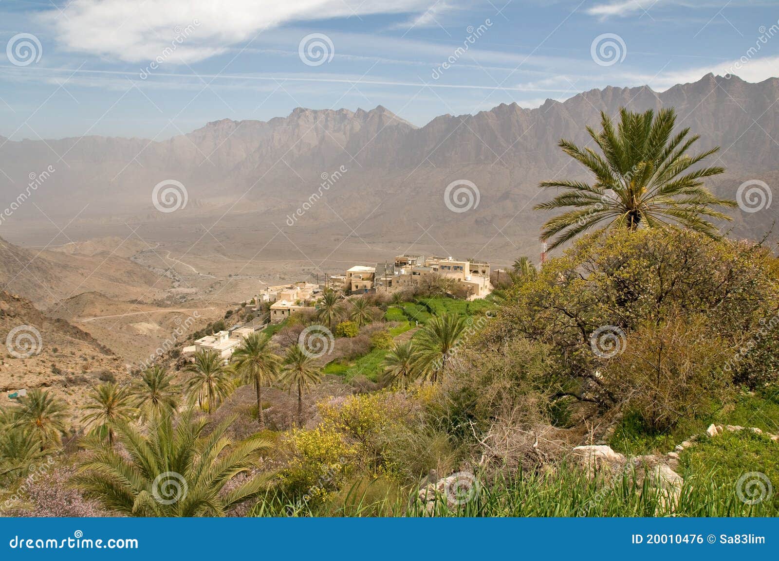 Traditional Omani Farm stock photo. Image of omani, mountains - 20010476