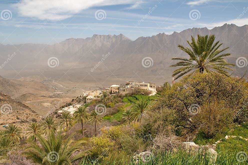 Traditional Omani Farm stock photo. Image of omani, mountains - 20010476