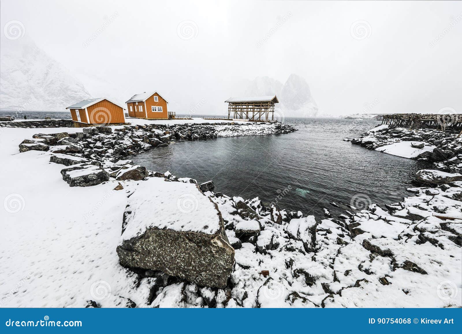 Traditional Outdoor Drying Norwegian Cod. Stock Photo - Image of drying ...