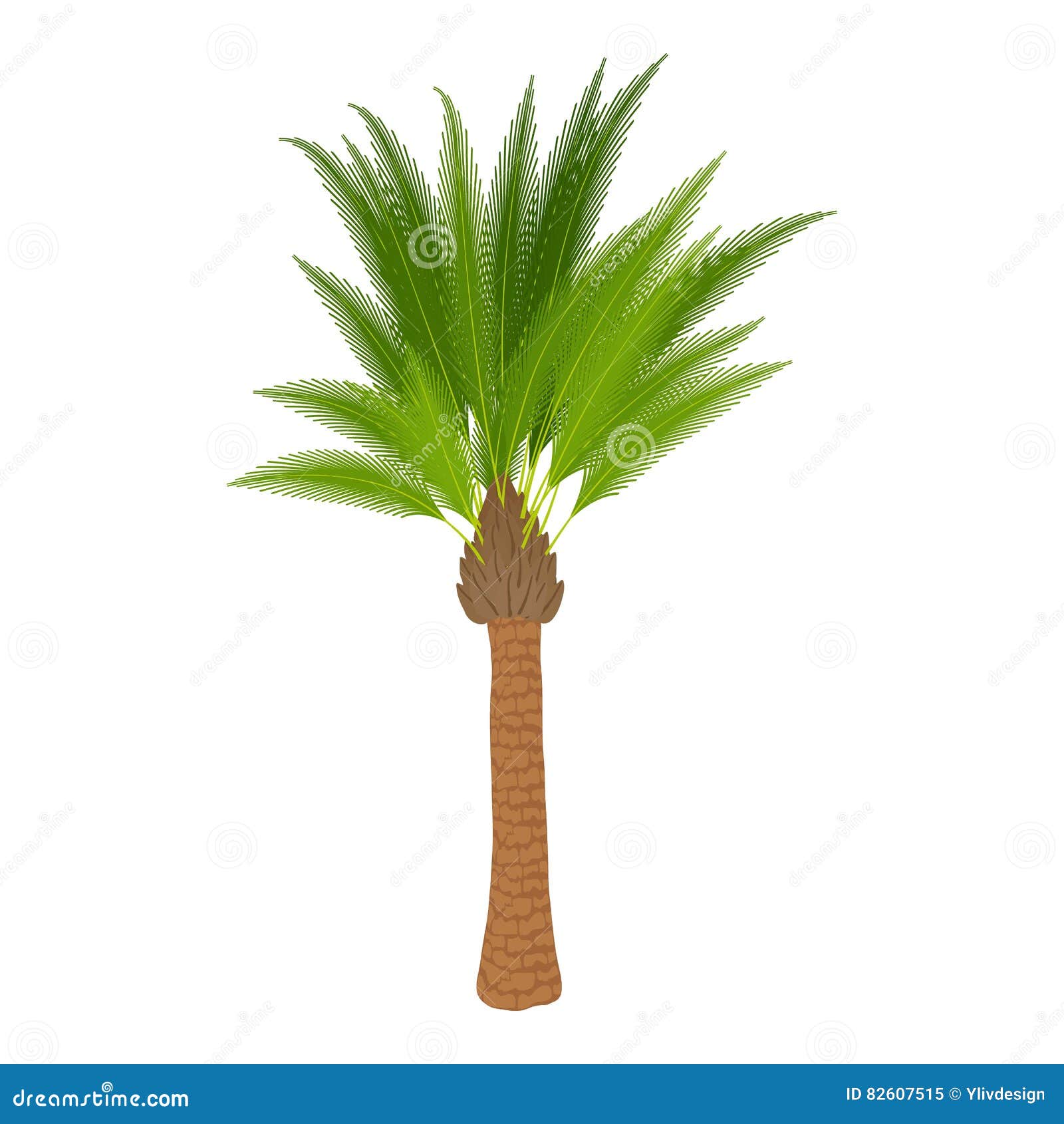 Traditional Palm Icon, Cartoon Style Stock Vector - Illustration of ...