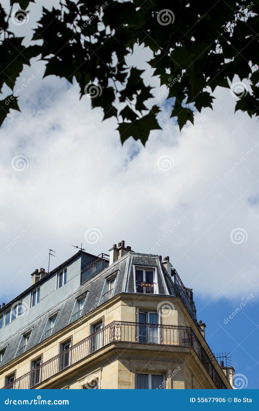 Traditional Paris rooftop stock photo. Image of historic - 55677906