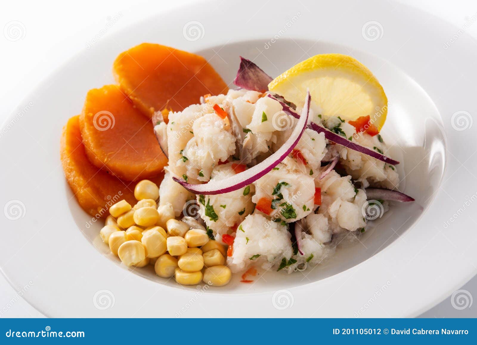 Traditional Peruvian Ceviche Isolated on White Background Stock Photo ...