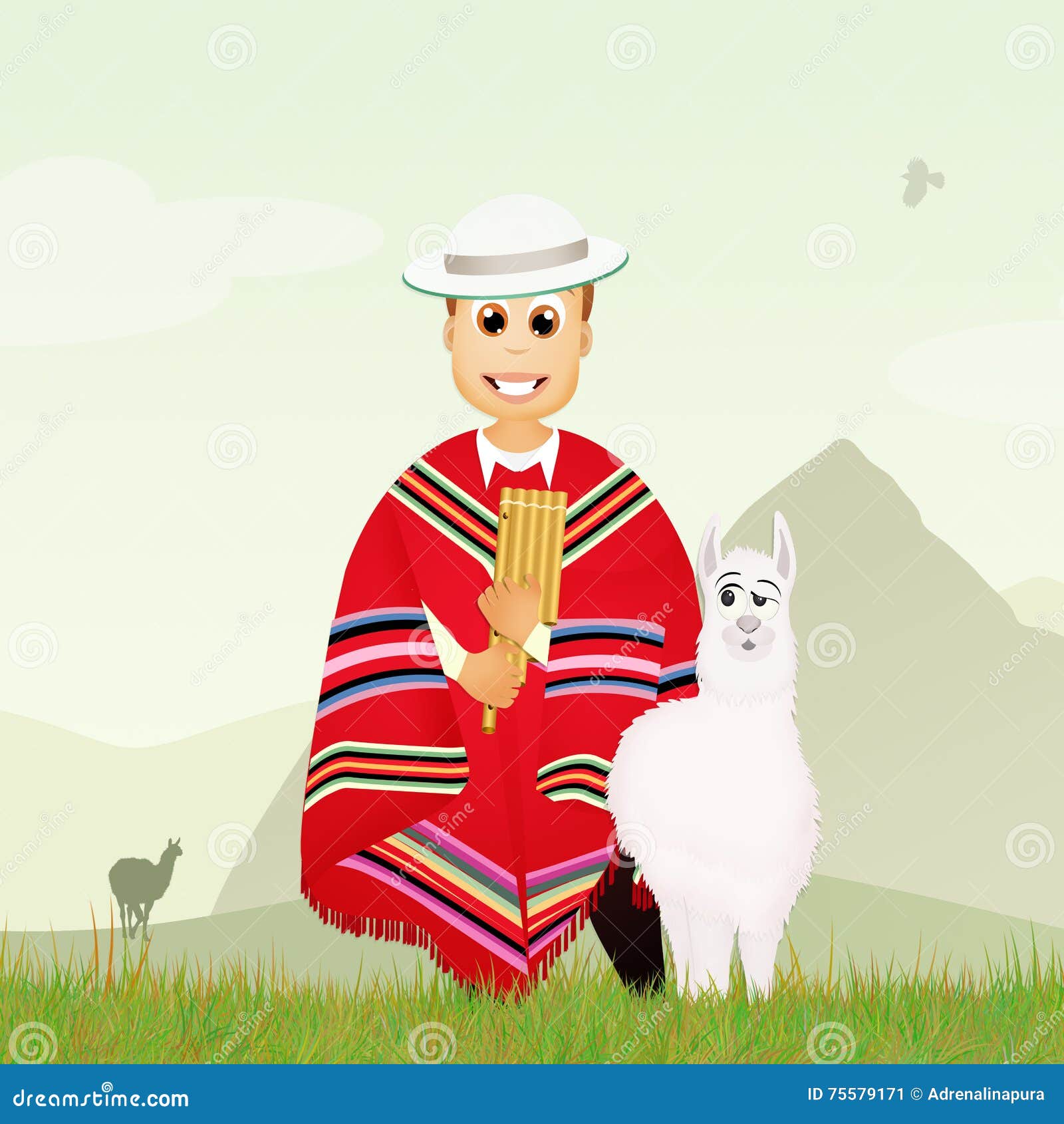 Traditional Peruvian man stock illustration. Illustration of animal ...