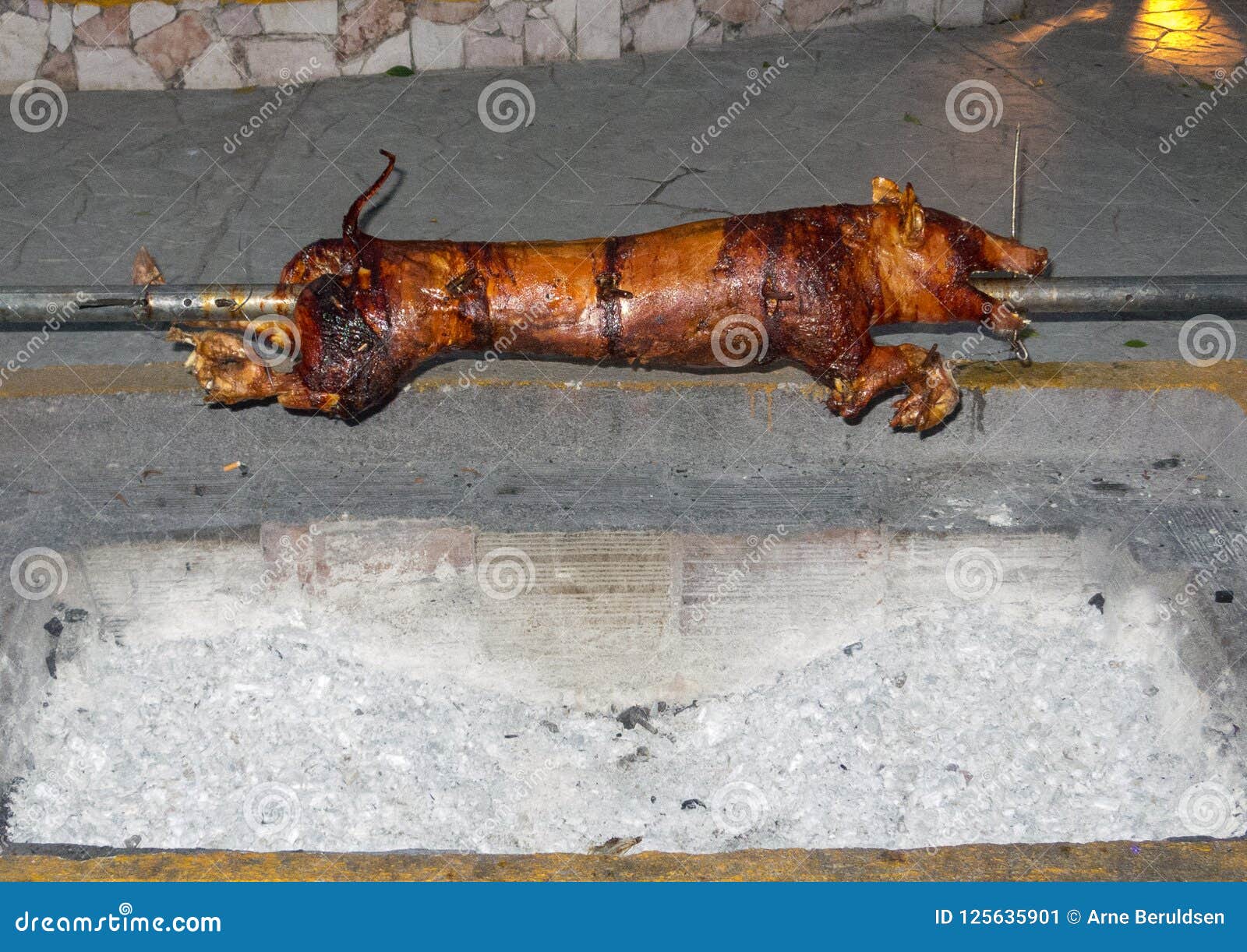 A Pig Roast in Rural Cuba stock image. Image of chef - 125635901