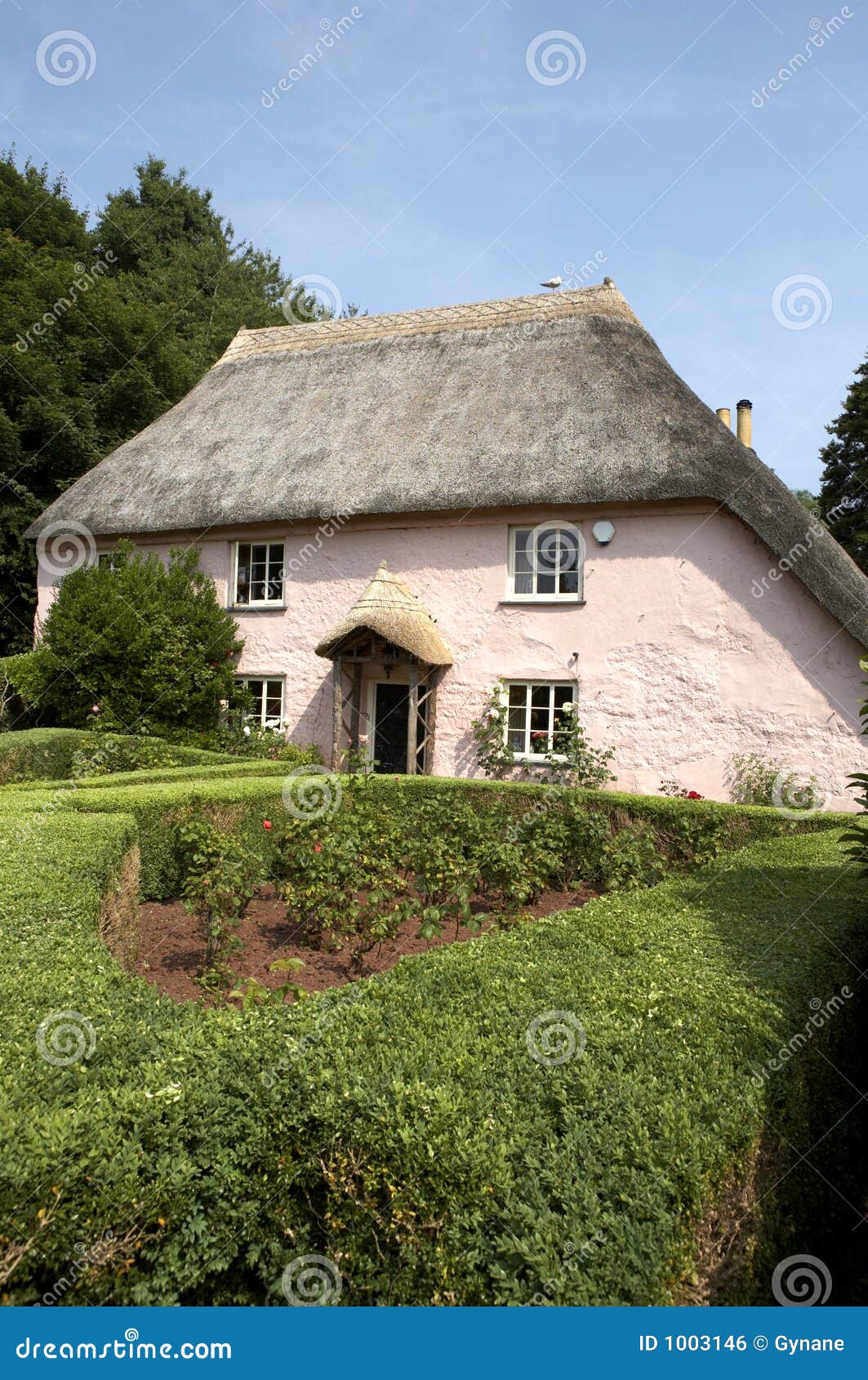 Traditional Pink Painted English Cottage Stock Photo - Image of ...