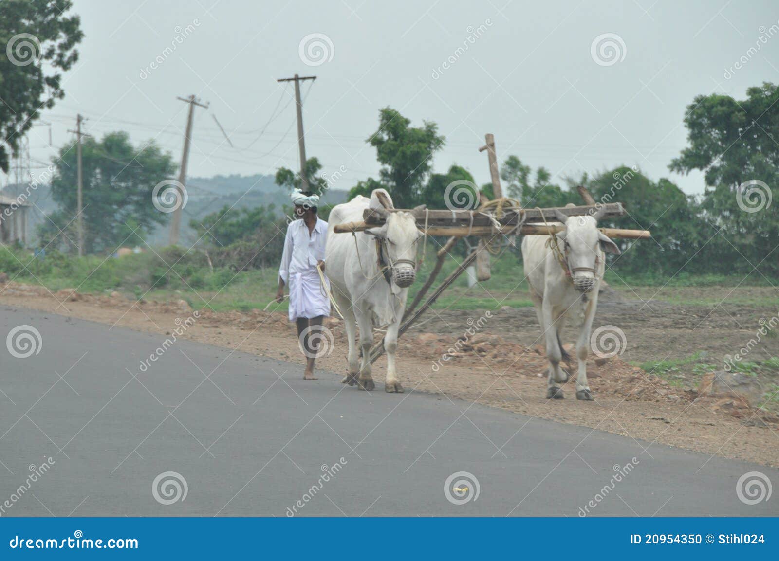 Traditional Plough in India Editorial Image - Image of power, cattle ...