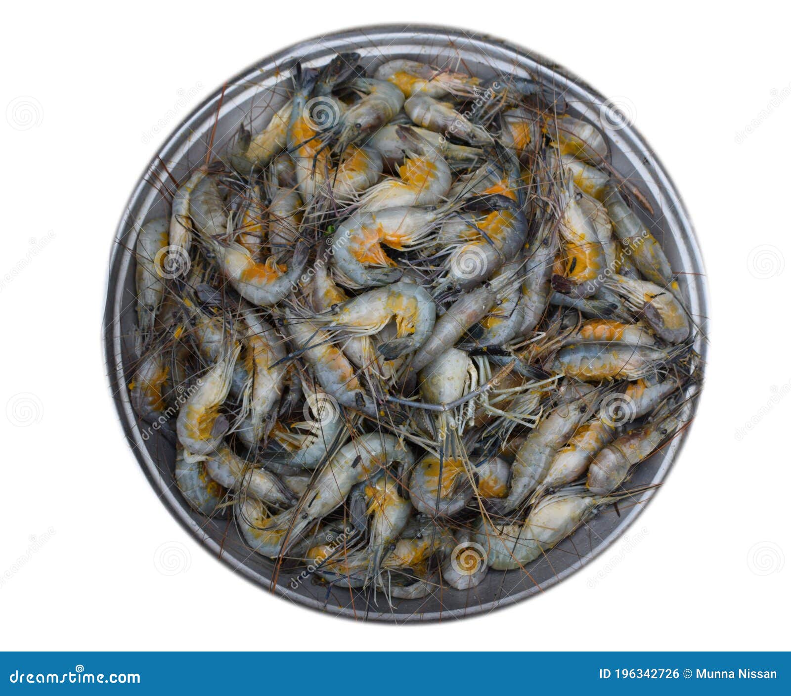 Traditional Prawn River Fish with White Background Stock Photo - Image ...