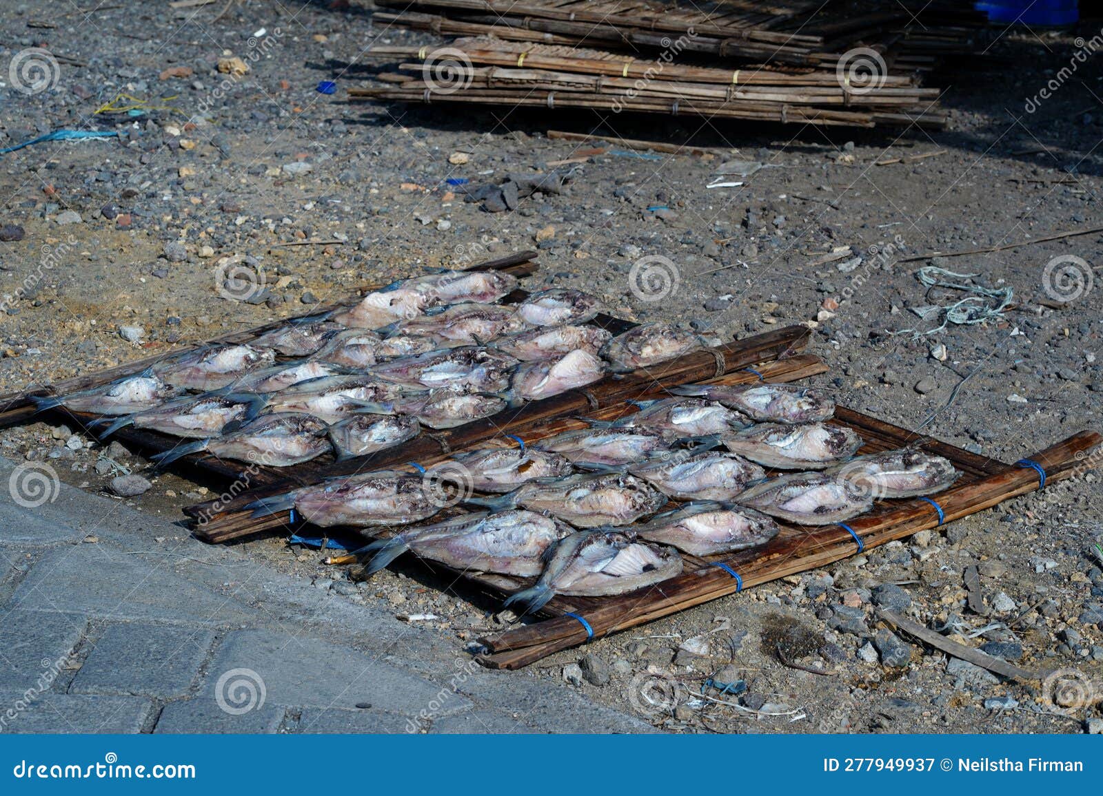 Traditional Process of Drying the Salted Fish Under Direct Sunlight in ...