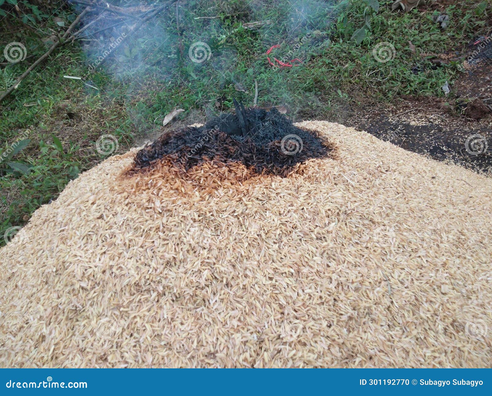 Traditional Process of Making Husk Charcoal in Rural Areas Stock Photo ...