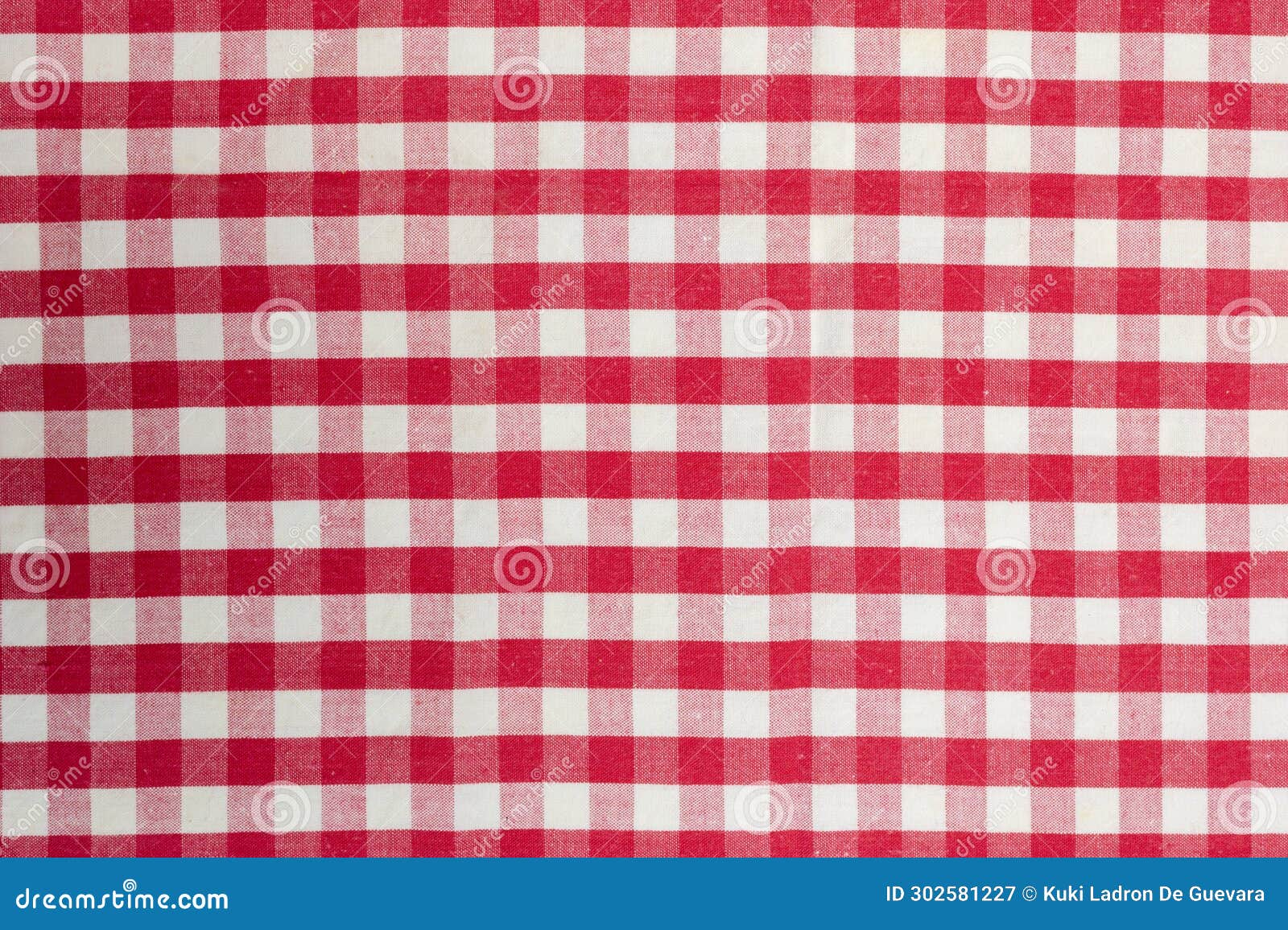 Traditional Red and White Checkered Kitchen Tablecloth Stock Image ...