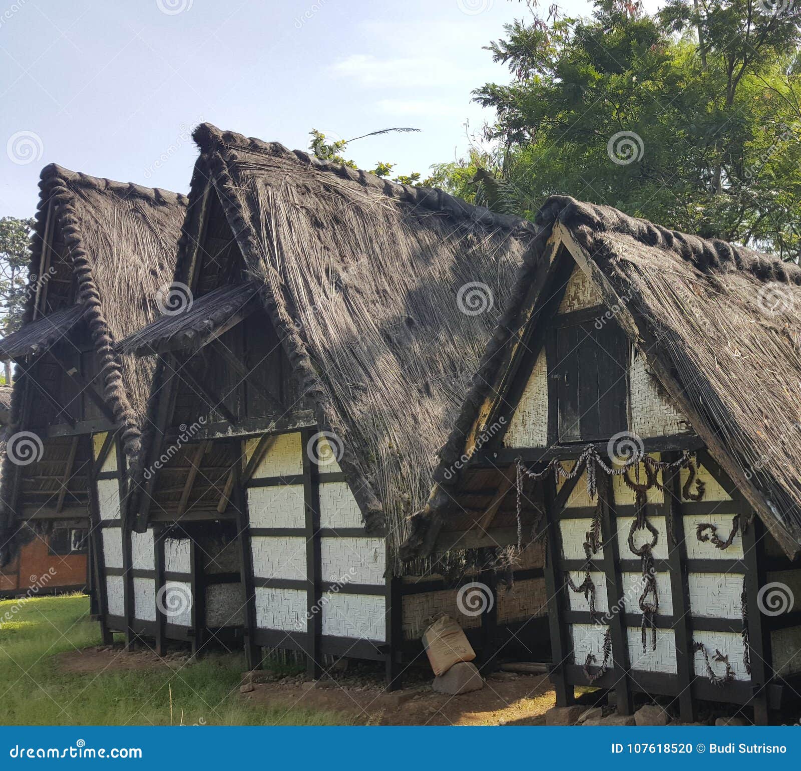 Rice Barn House Editorial Photo | CartoonDealer.com #255595657