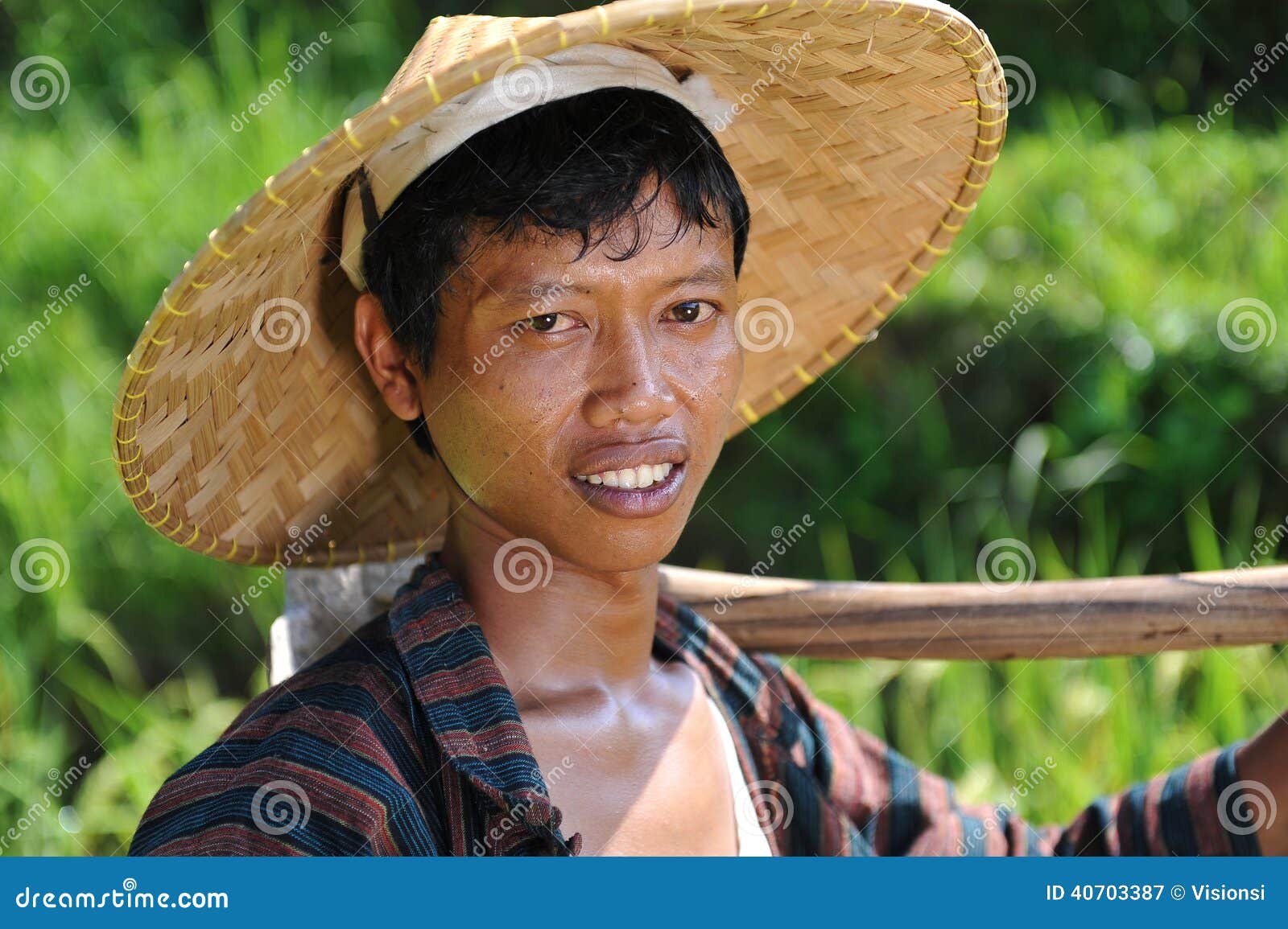 Traditional rice farmer stock image. Image of agriculture - 40703387
