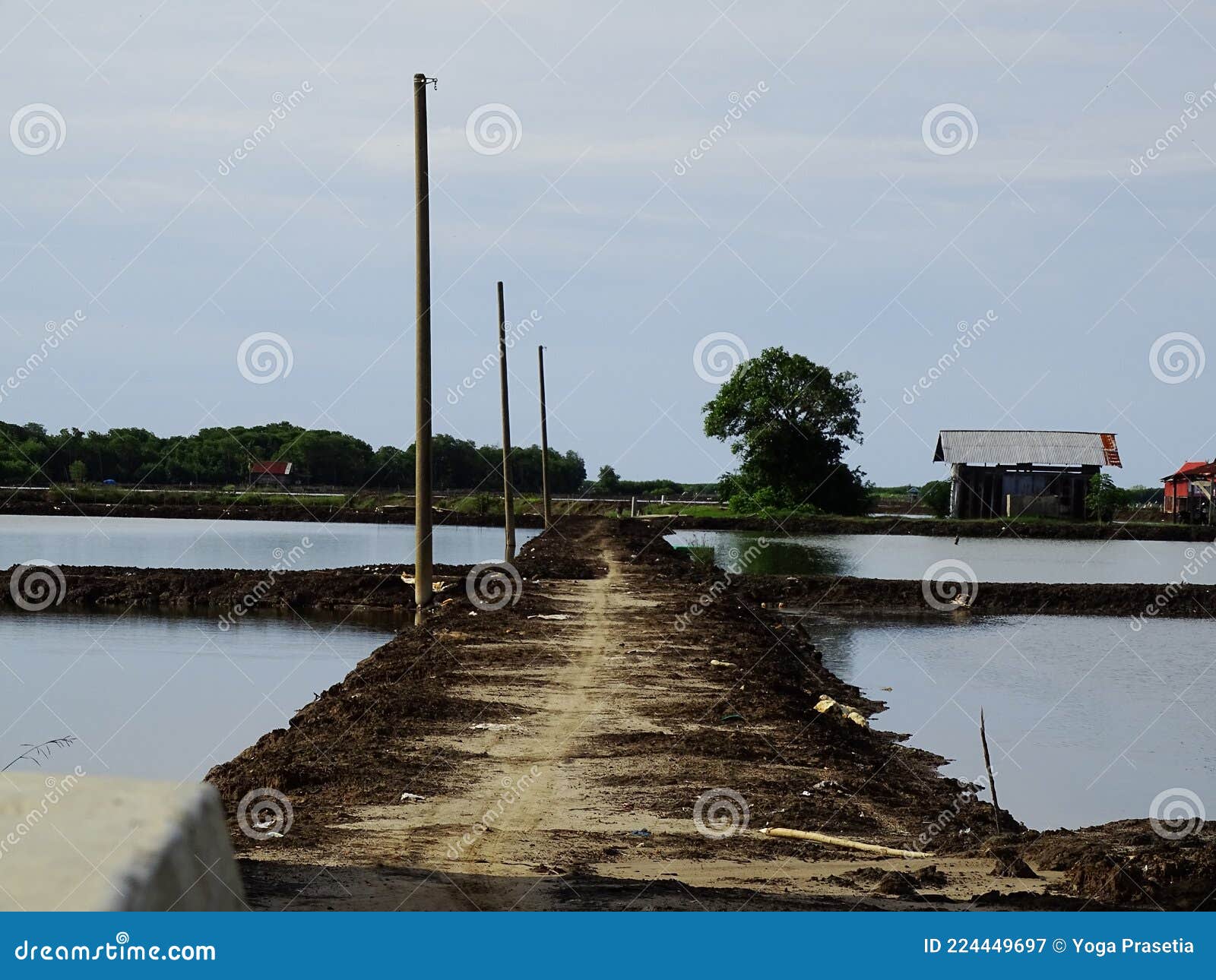 Traditional road of pond stock image. Image of traditional - 224449697