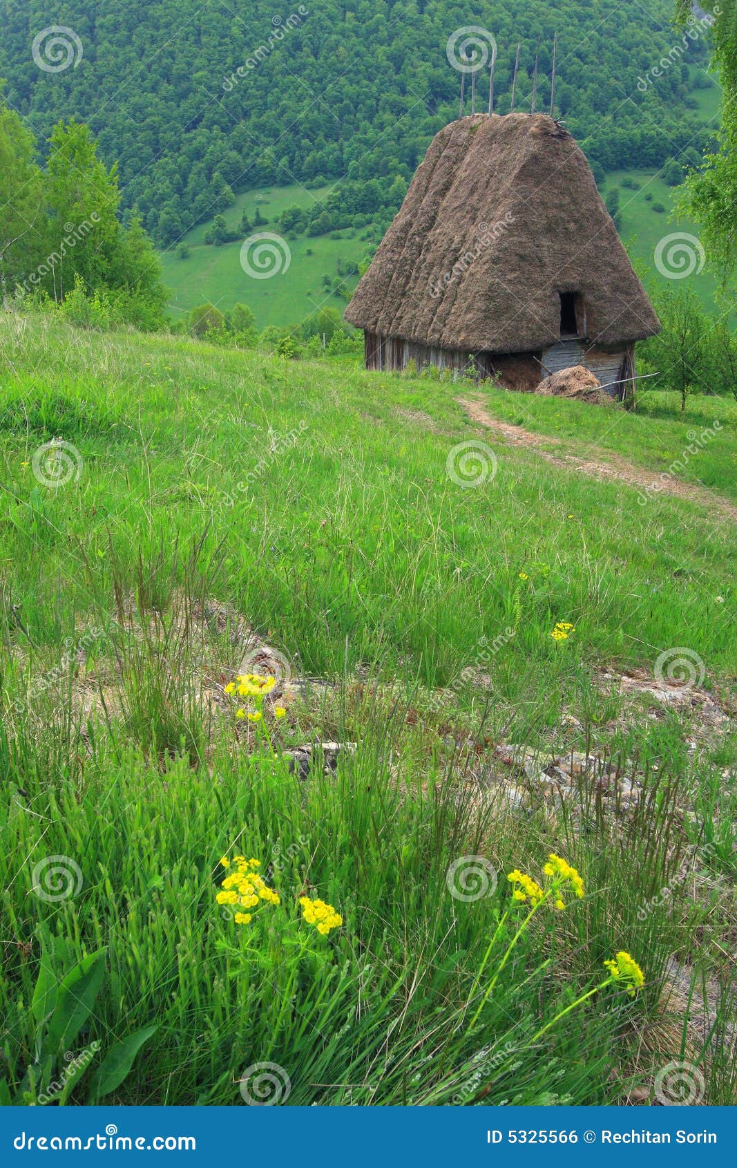 Traditional Romanian Cottage Stock Photo - Image of mountain, flowers ...