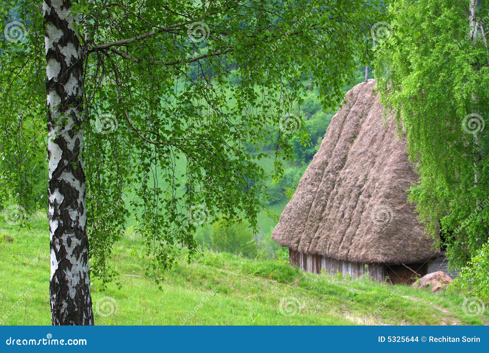 Traditional Romanian Cottage Stock Photo - Image of green, flower: 5325644