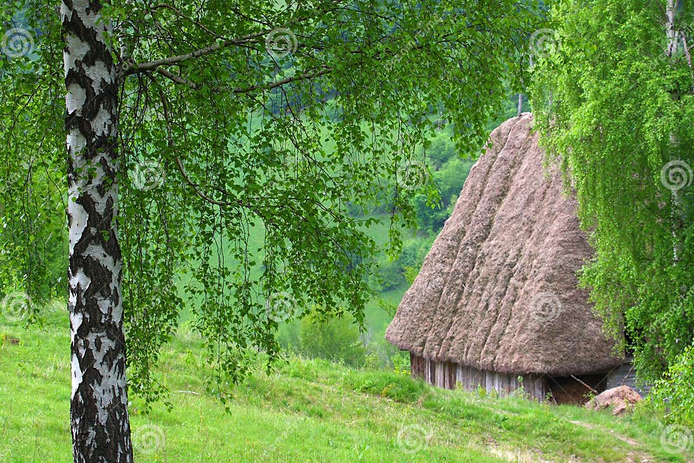 Traditional Romanian Cottage Stock Photo - Image of green, flower: 5325644