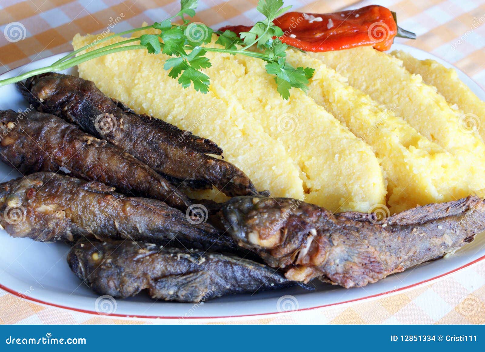 Traditional Romanian House Stock Photo | CartoonDealer.com #49098036