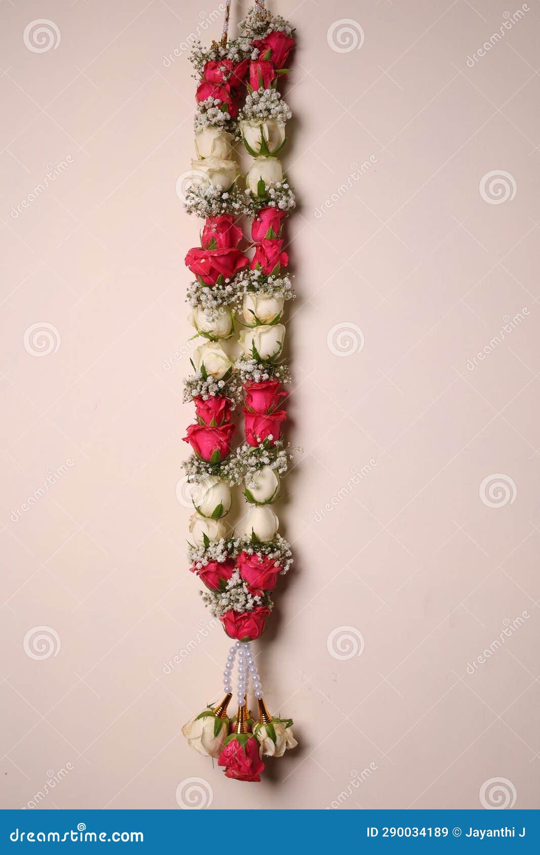 Traditional Rose Garland Isolated in White Backdrop Stock Image - Image ...