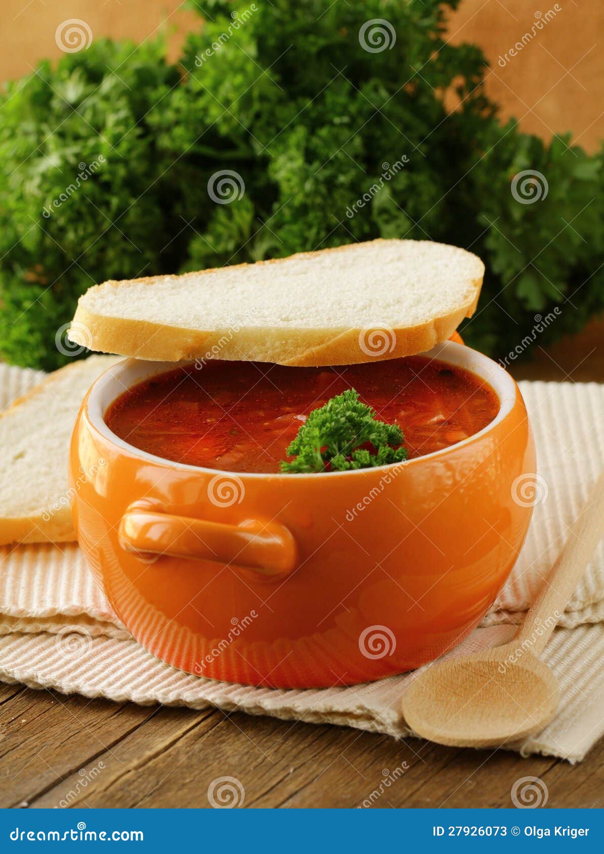 Traditional Russian Ukrainian Soup Borscht Stock Image - Image of ...