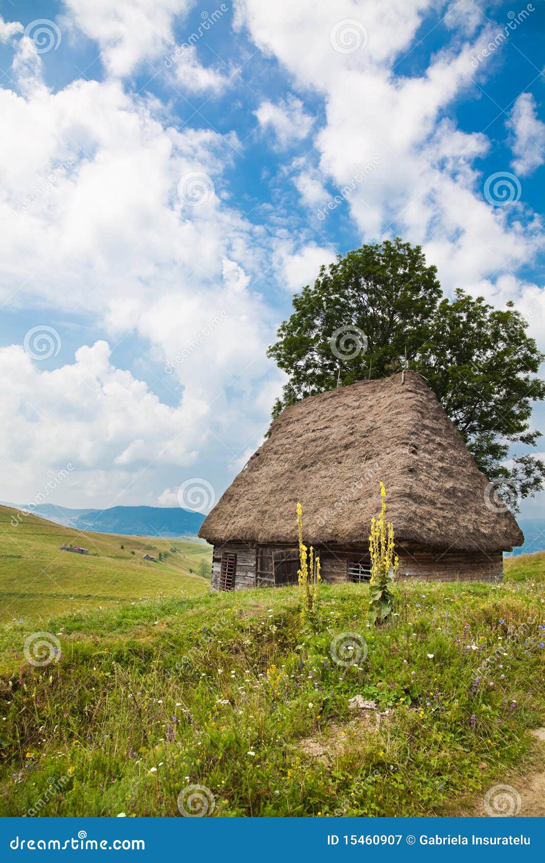 Traditional Rustic House in Apuseni Mountains Stock Image - Image of ...