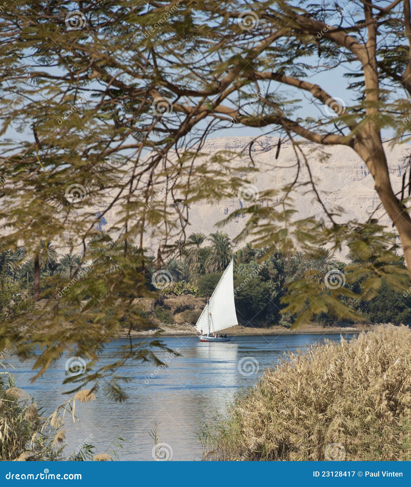 Traditional Sailing Felluca on the Nile Stock Image - Image of cruising ...