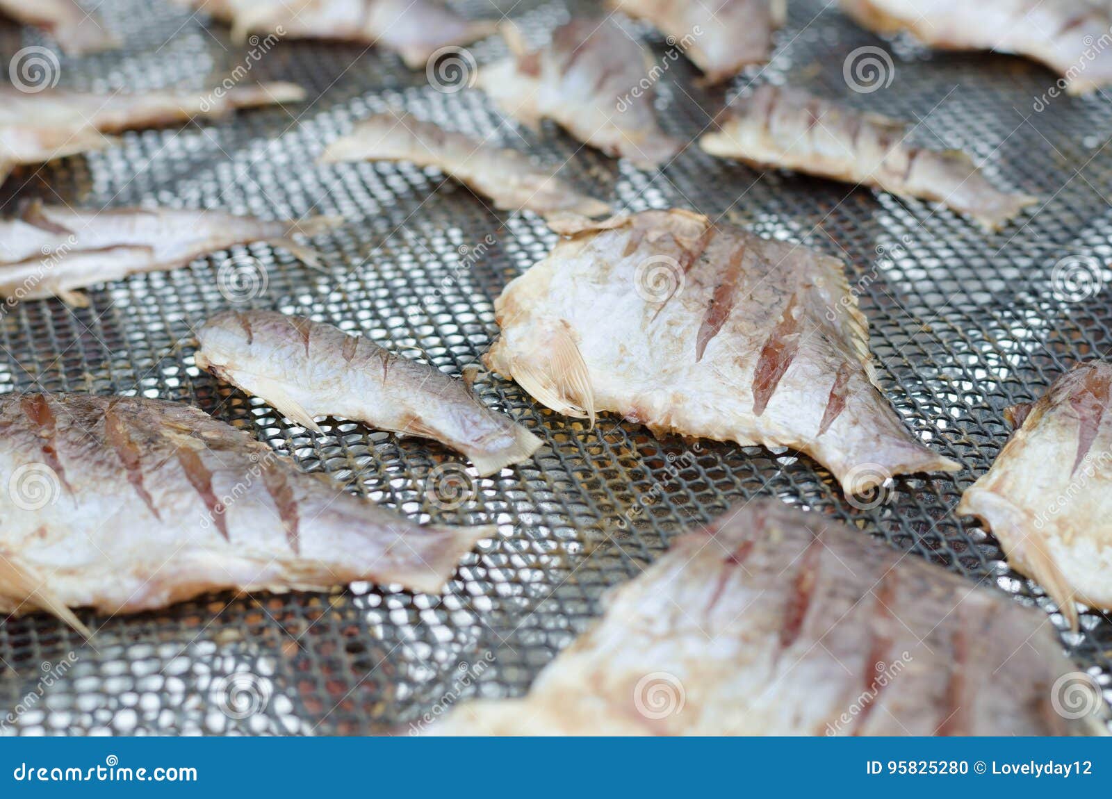 Traditional Salted Fish Drying on Grille Stock Photo - Image of fishing ...