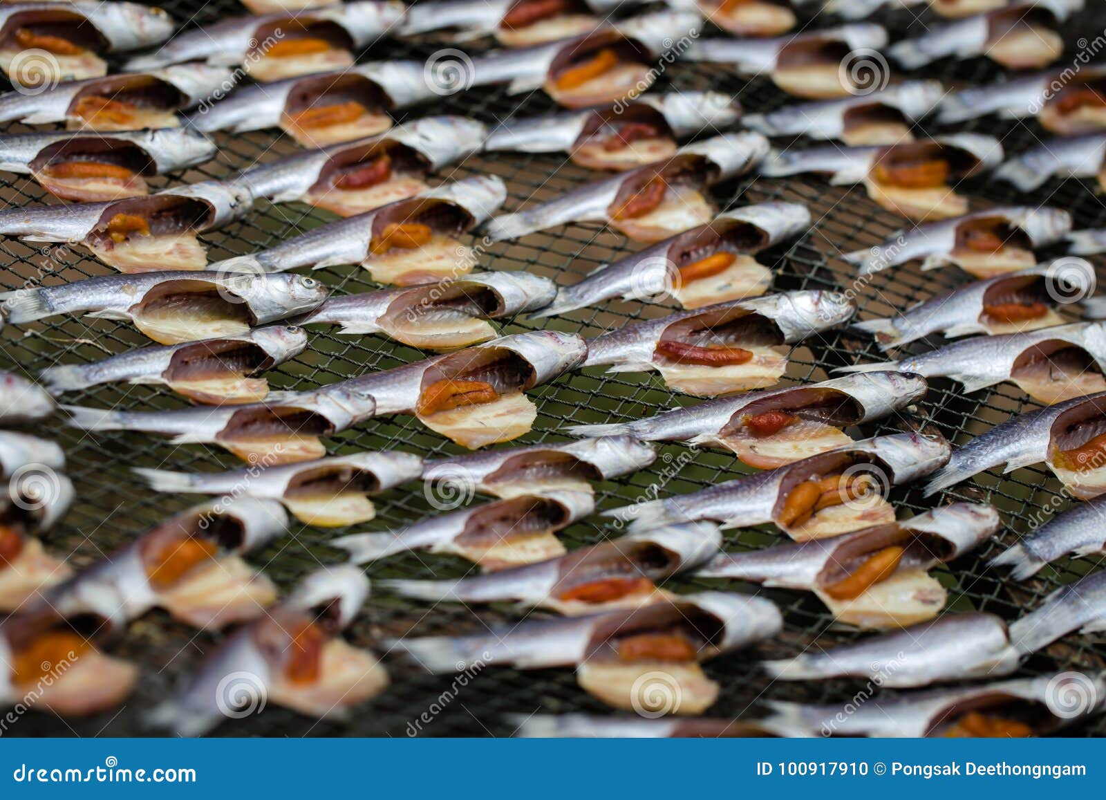 Fish drying on racks stock photo. Image of salted, nature - 100917910