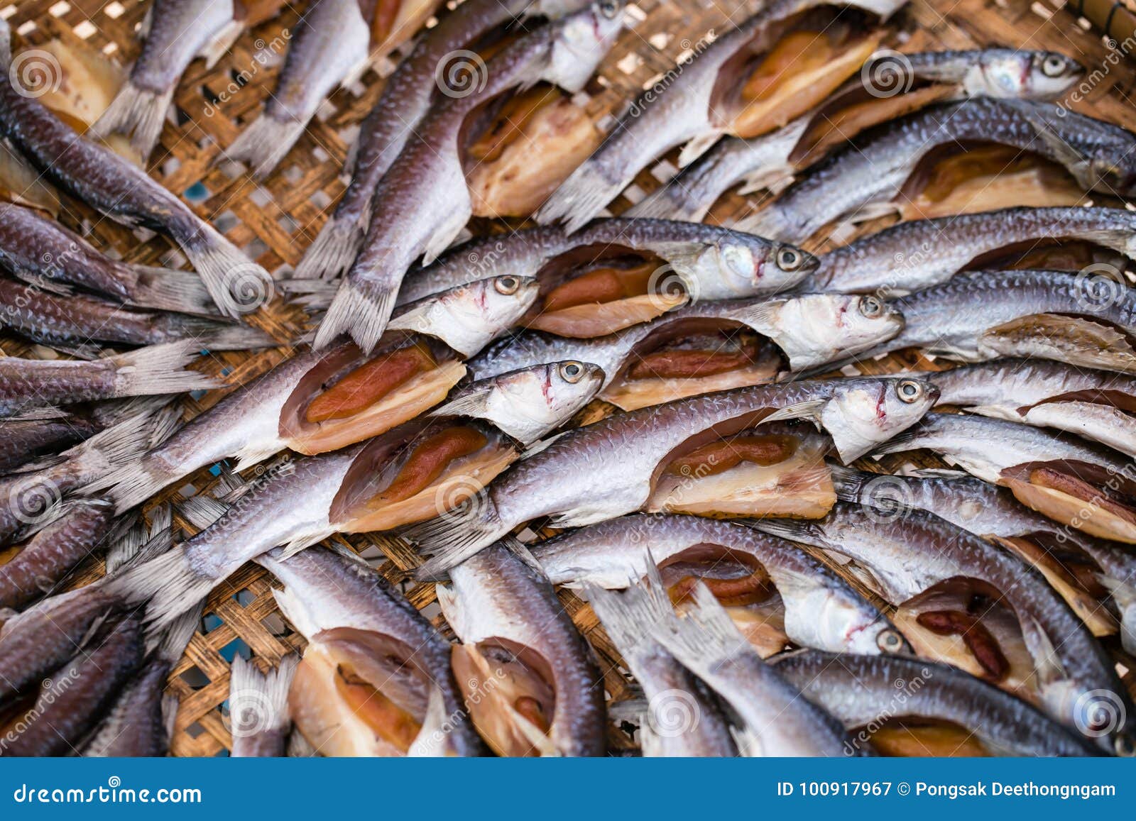 Fish drying on racks stock image. Image of dried, fresh - 100917967