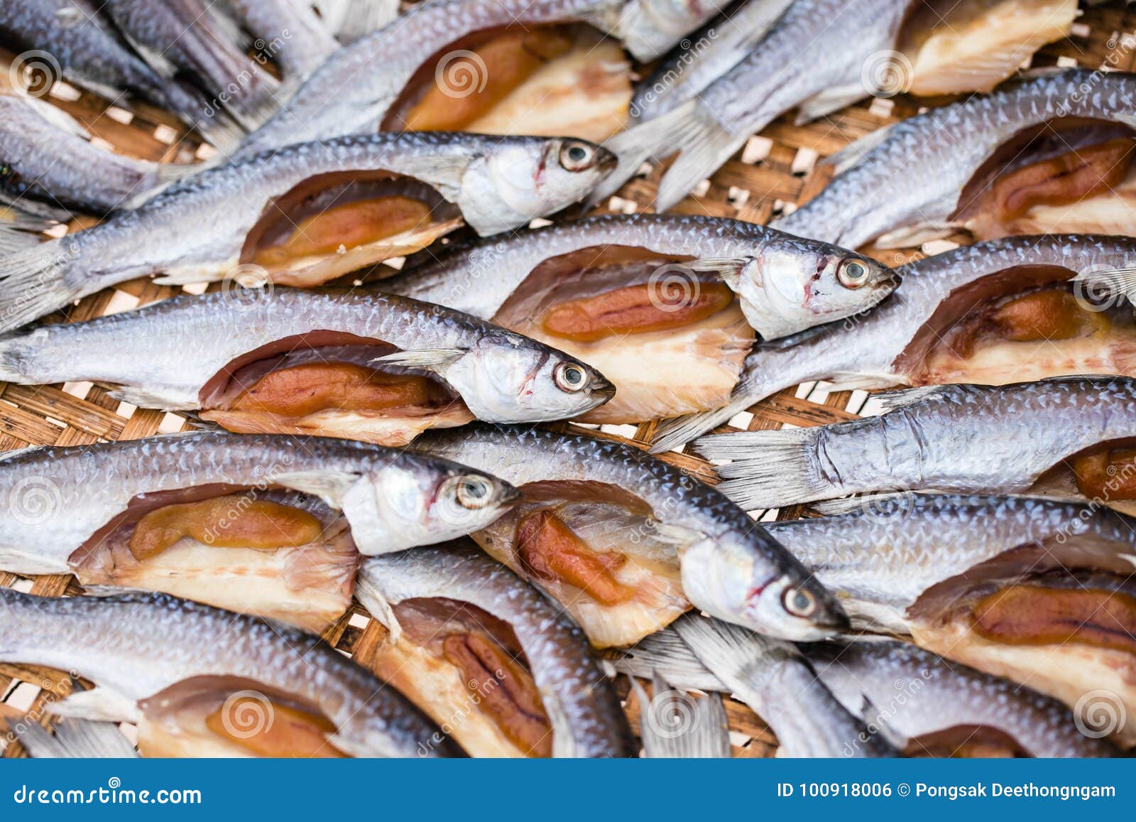 Fish drying on racks stock photo. Image of nature, industry - 100918006