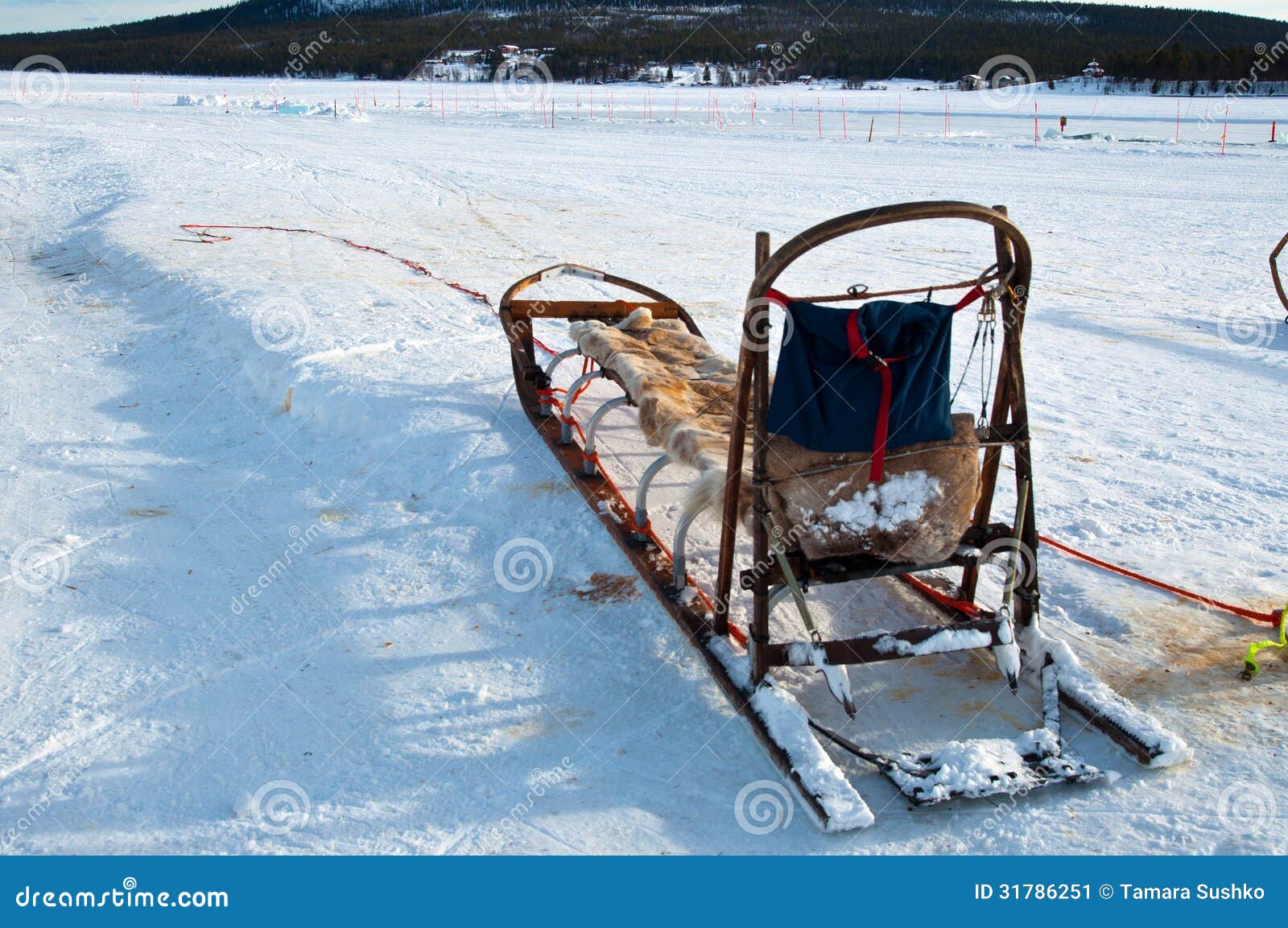 Traditional Sami National Sledge Stock Photos - Free & Royalty-Free ...