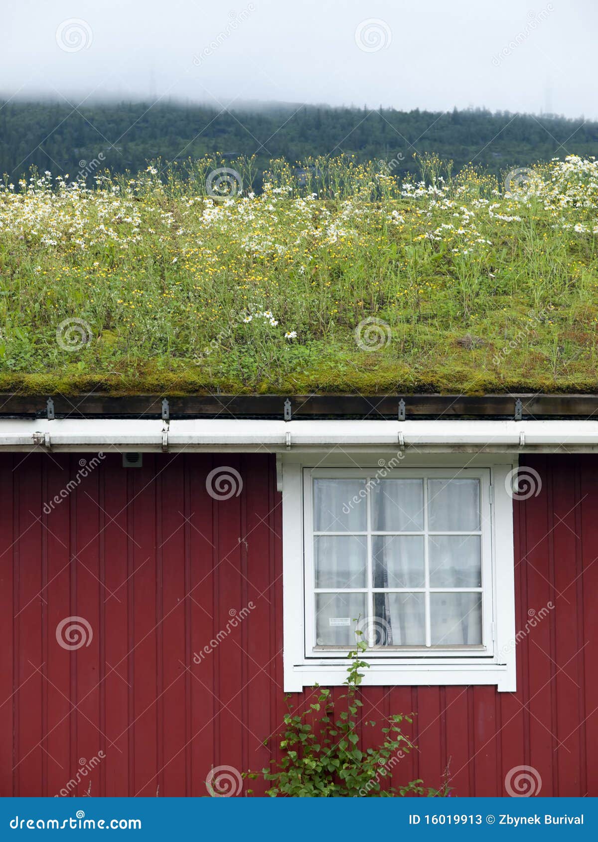 Grass Roof Houses. Stock Photography | CartoonDealer.com #15745934