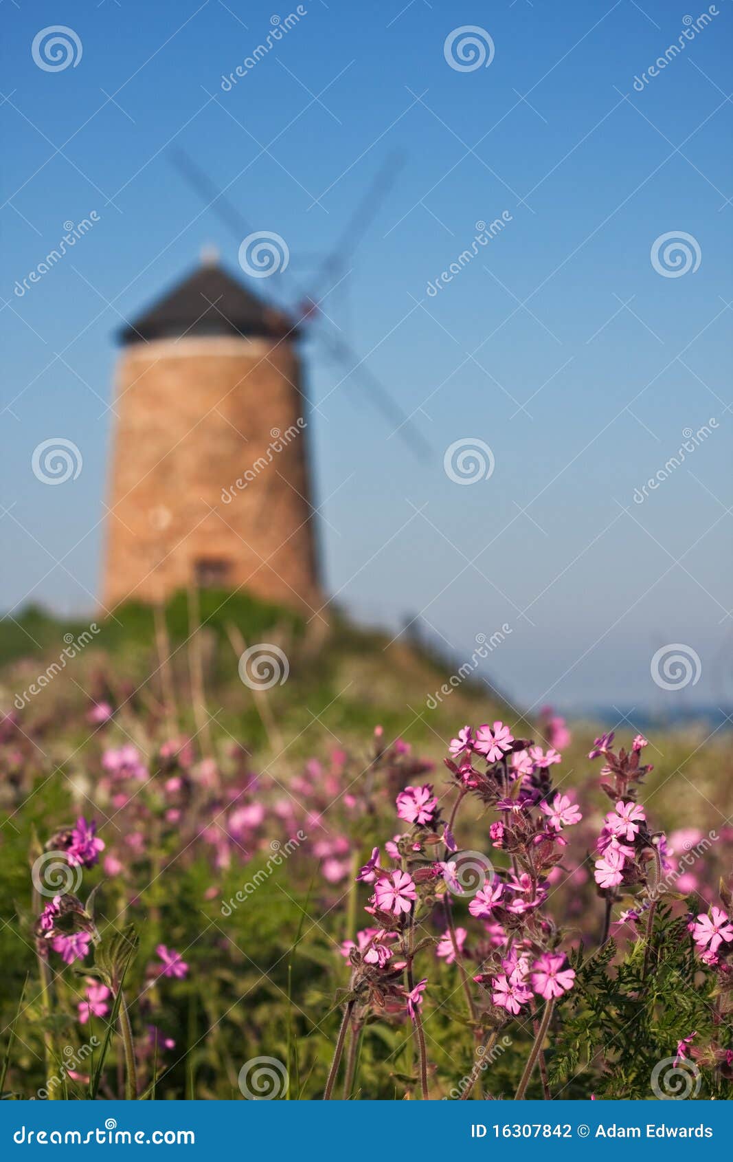 Traditional Scottish Coastal Windmill with Flowers Stock Photo - Image ...
