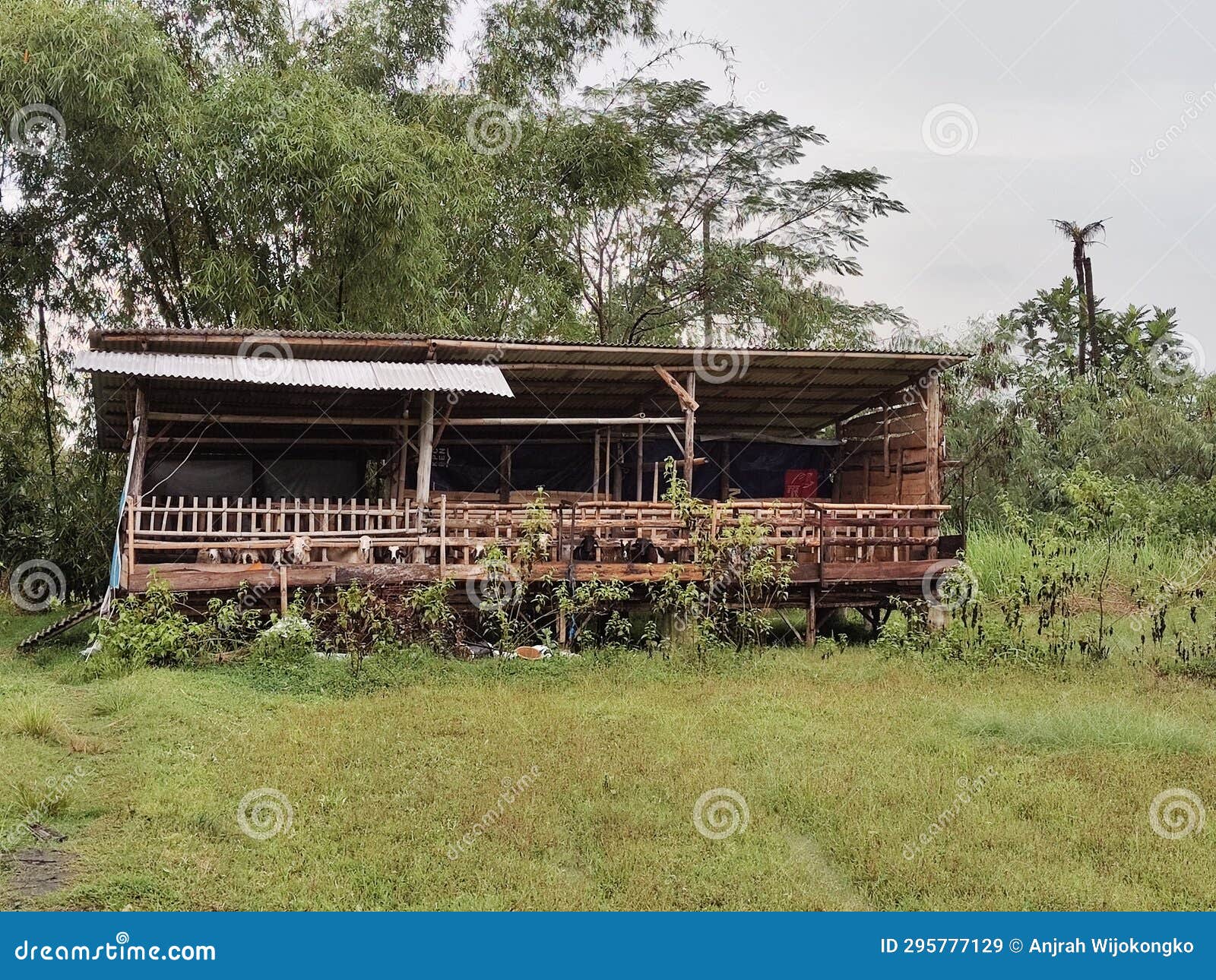 Traditional Sheepfold From The 18th Century With A Thatched Roof ...
